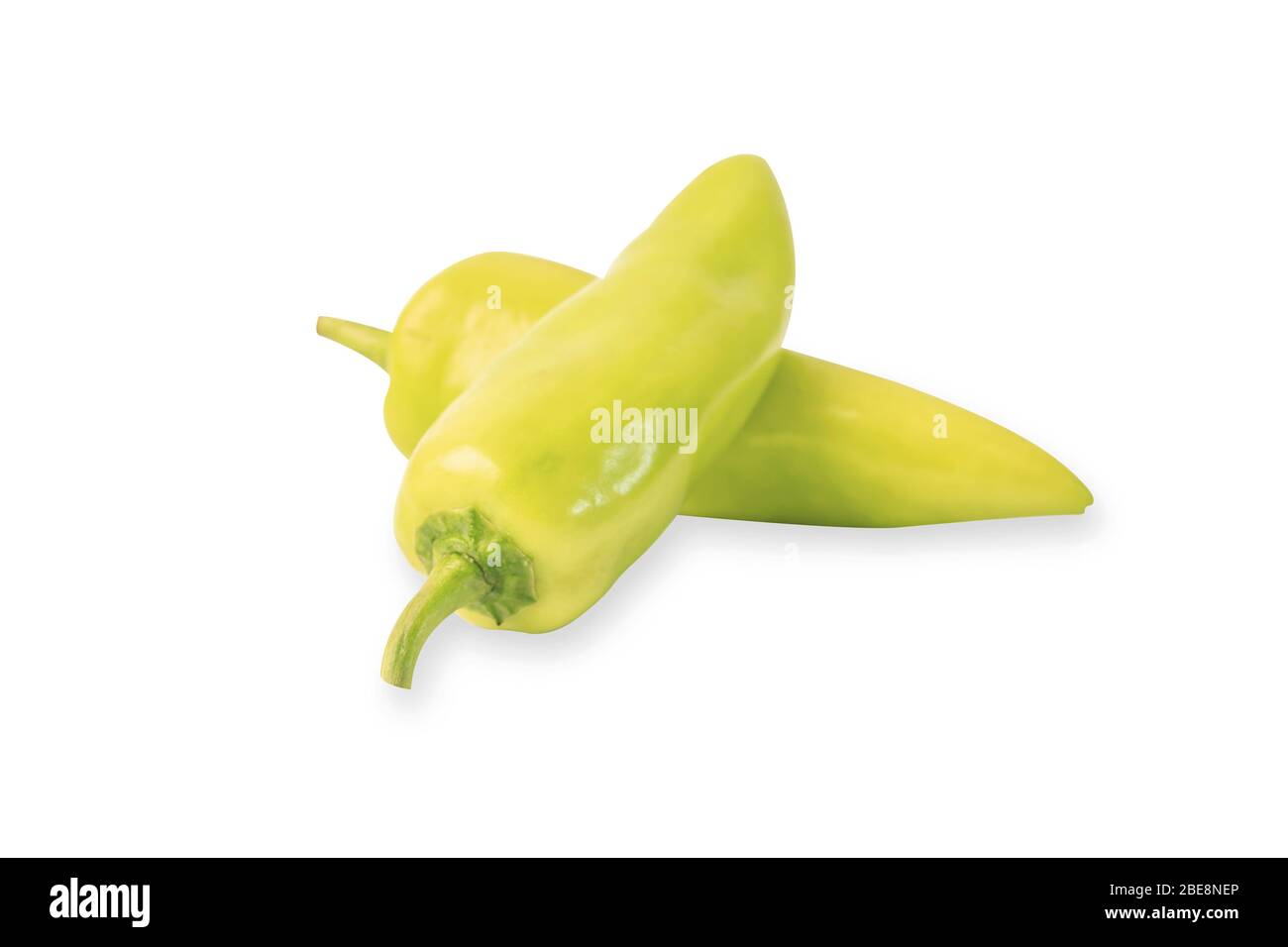 Capsicum annuum Linn. isolated on white background. Green pepper can be ...