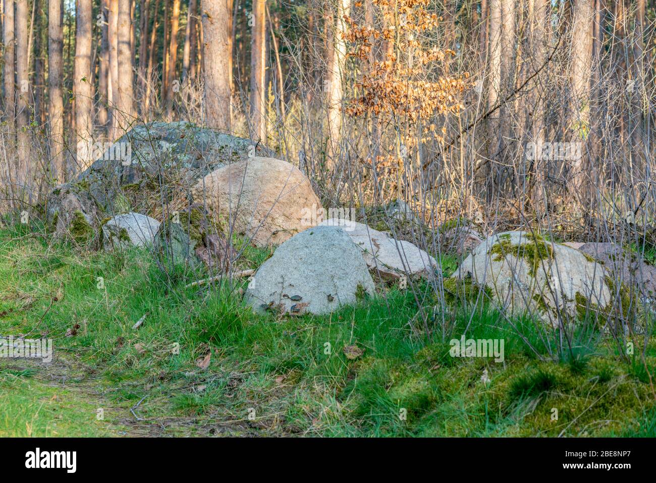 Prehistoric megalith stones along the famous "Graeberweg" near ...