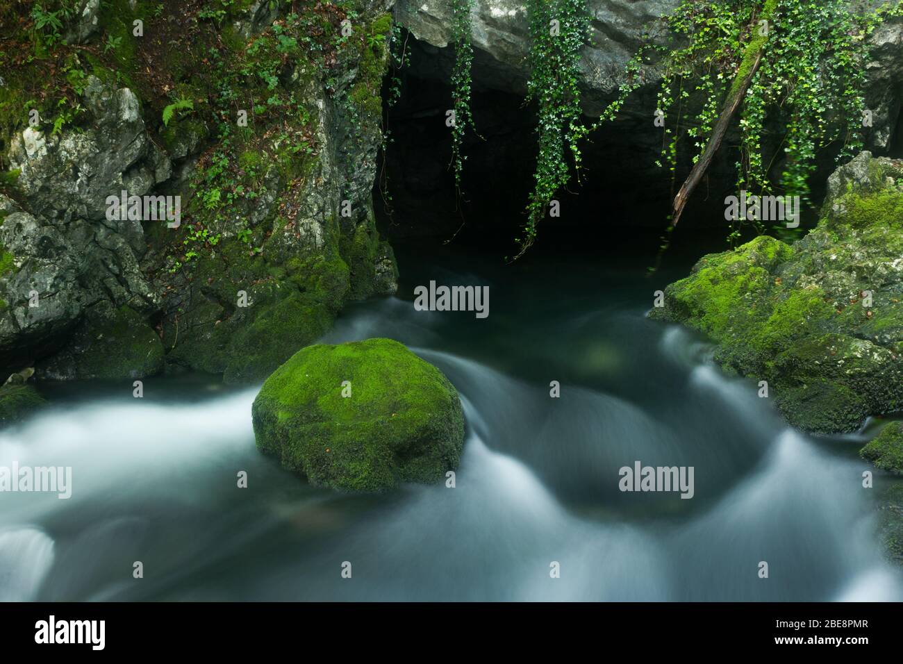 Mountain river source in the Austrian Alps with dynamic flowing water ...