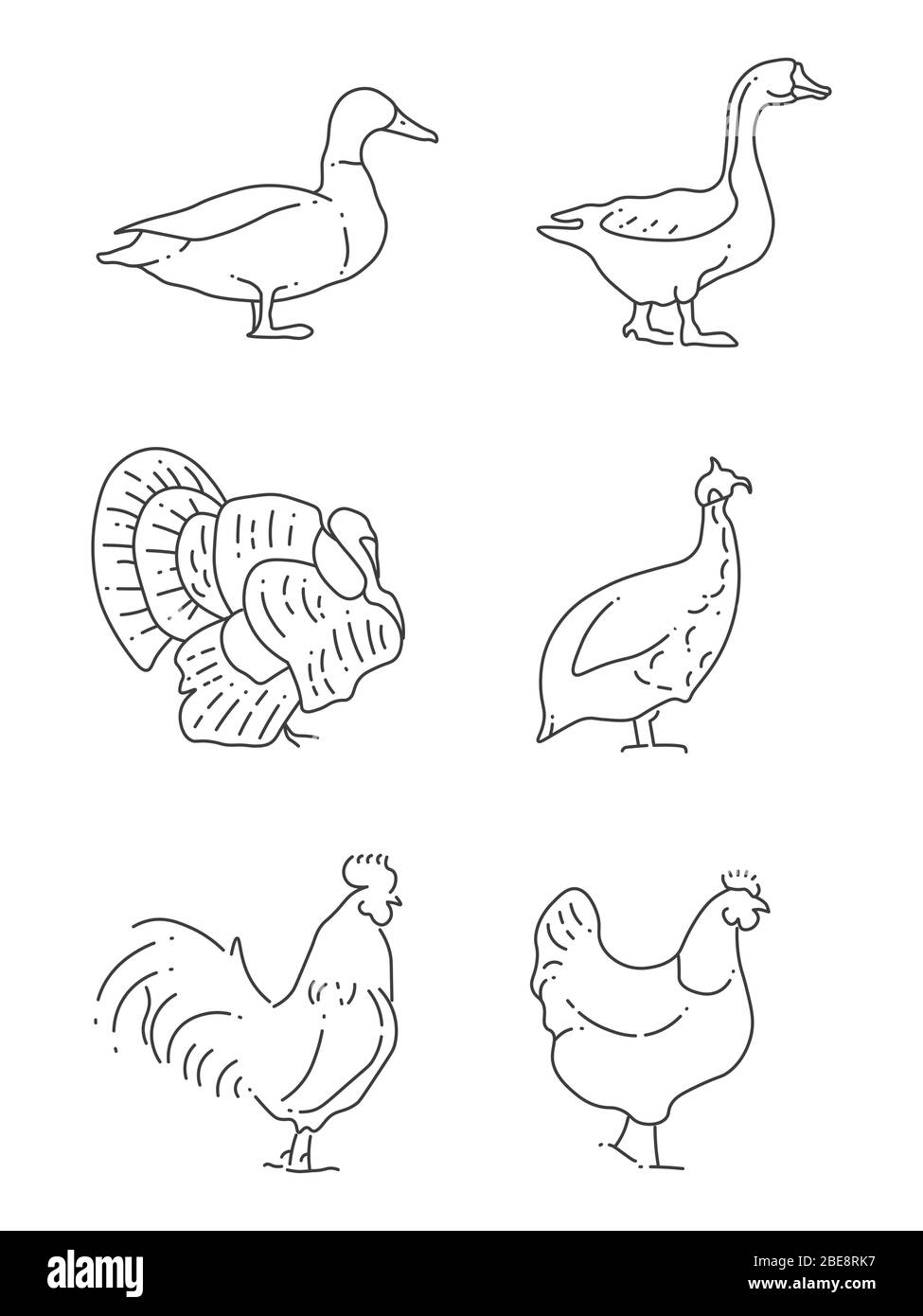 Popular farm birds thin line icons. Collection of farm bird linear ...