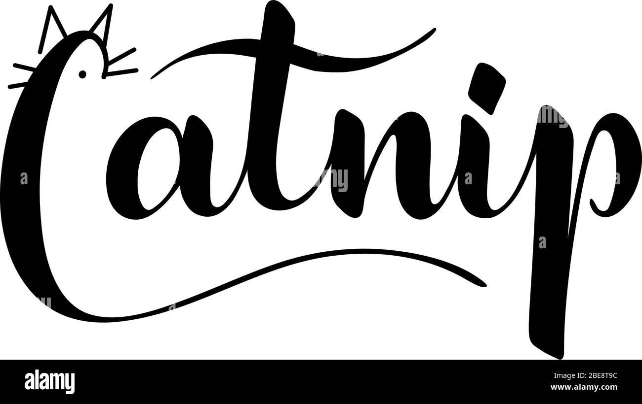 Food herbs season Black and White Stock Photos & Images - Alamy