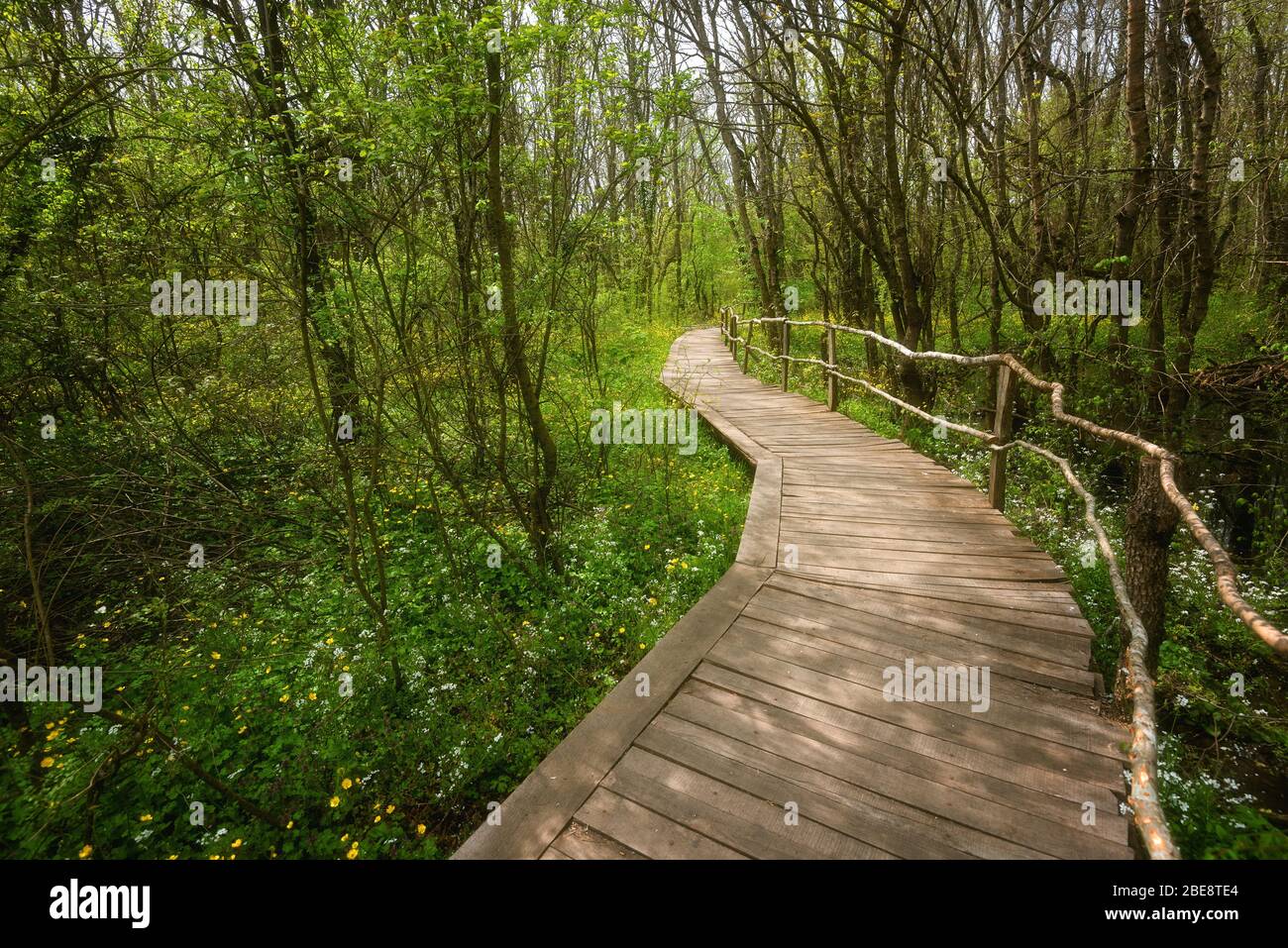 National Park Ropotamo Bulgaria. Wooden bridge leads to the Ropotamo ...