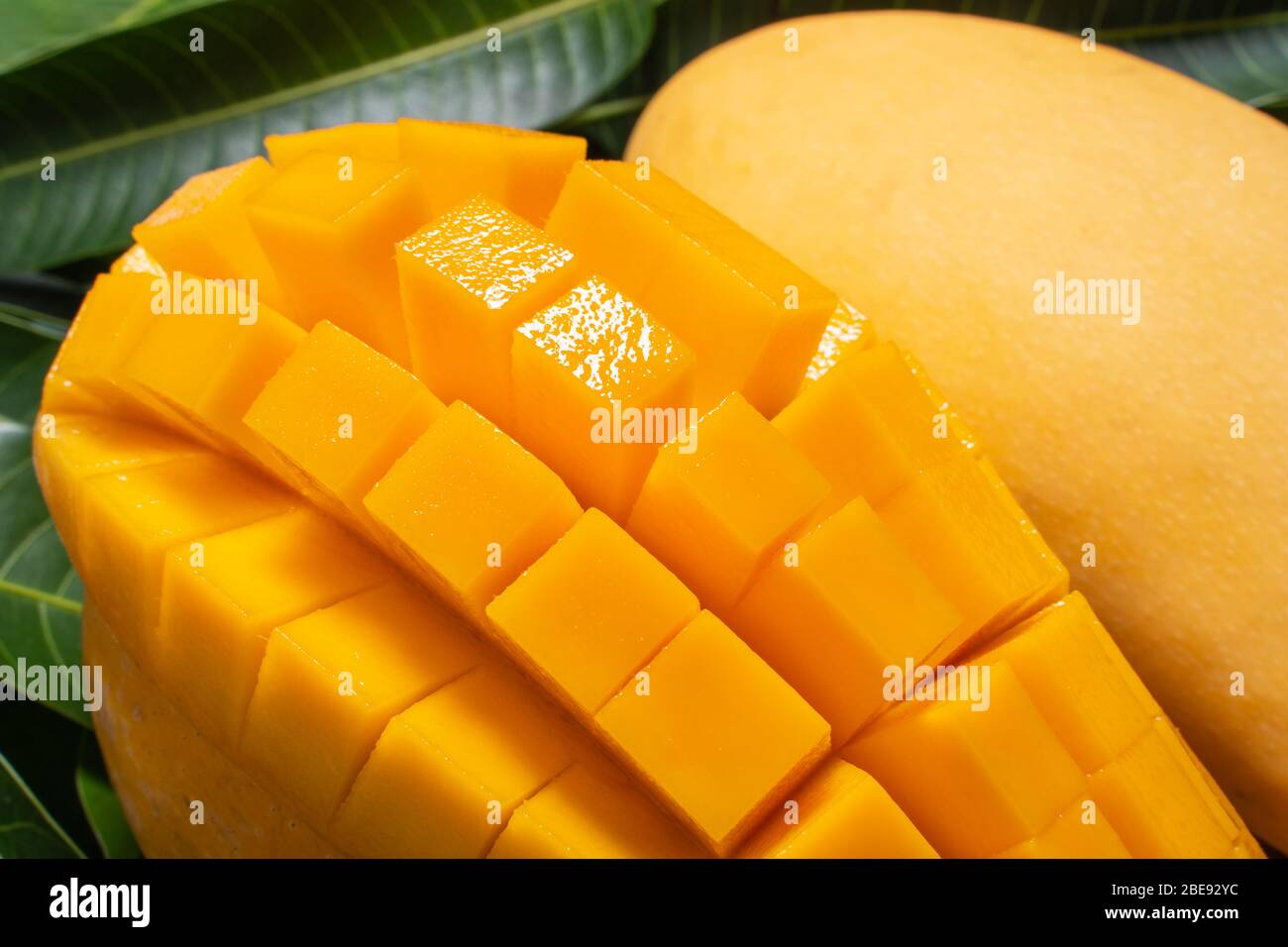 Mango, tropical fruit, in a bamboo wooden sieve basket on green leaf ...