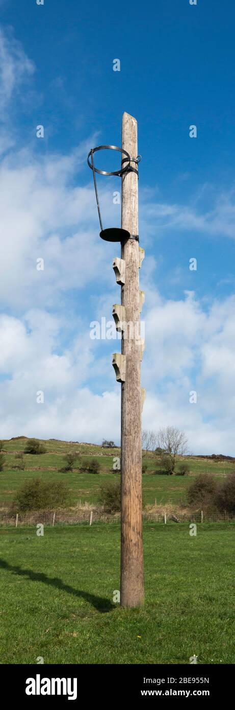 The rocket post in Rocket Post Field above the sea cliffs near Robin ...