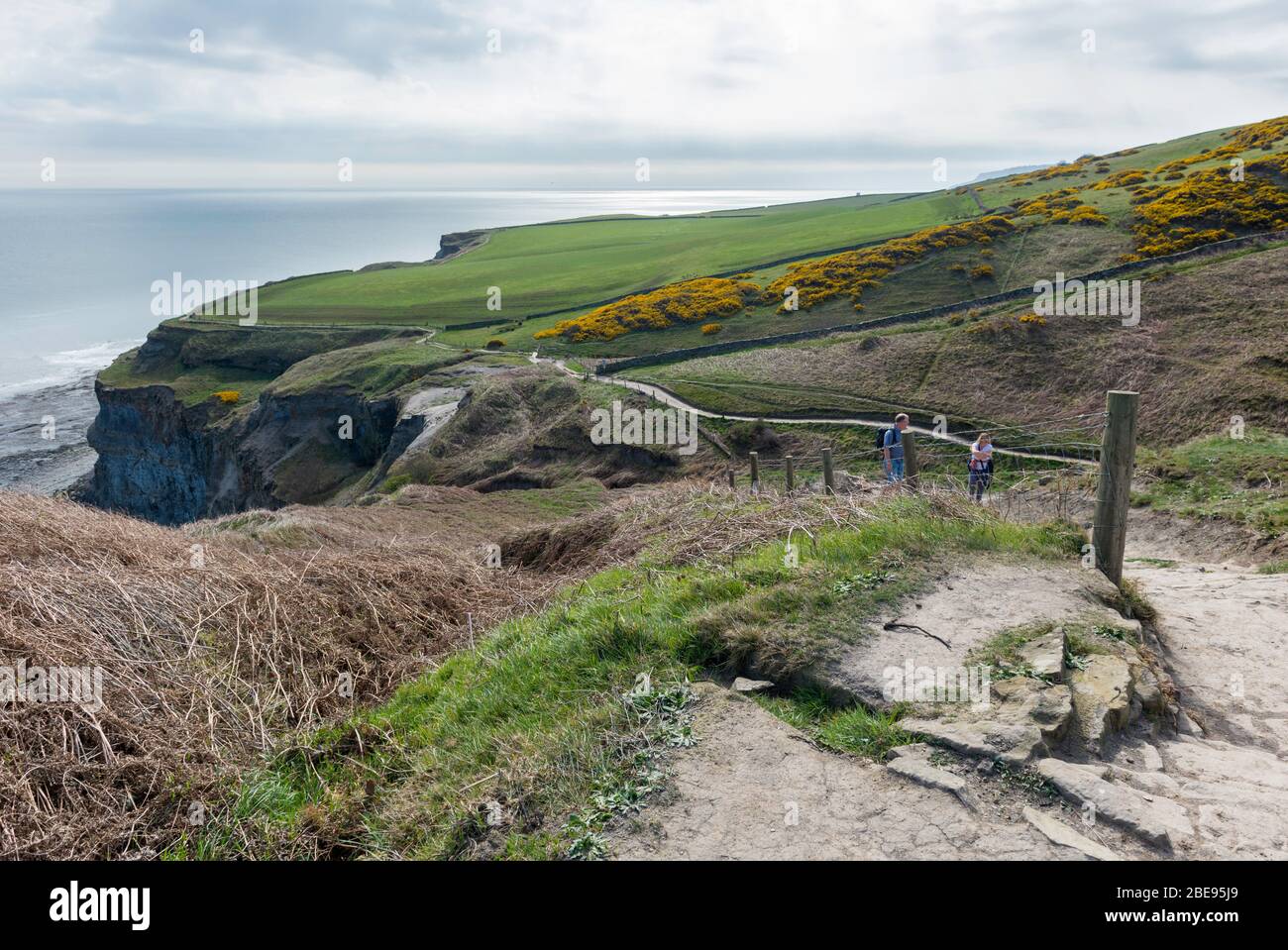 Spring view of sea cliffs along the route of the Cleveland Way long ...