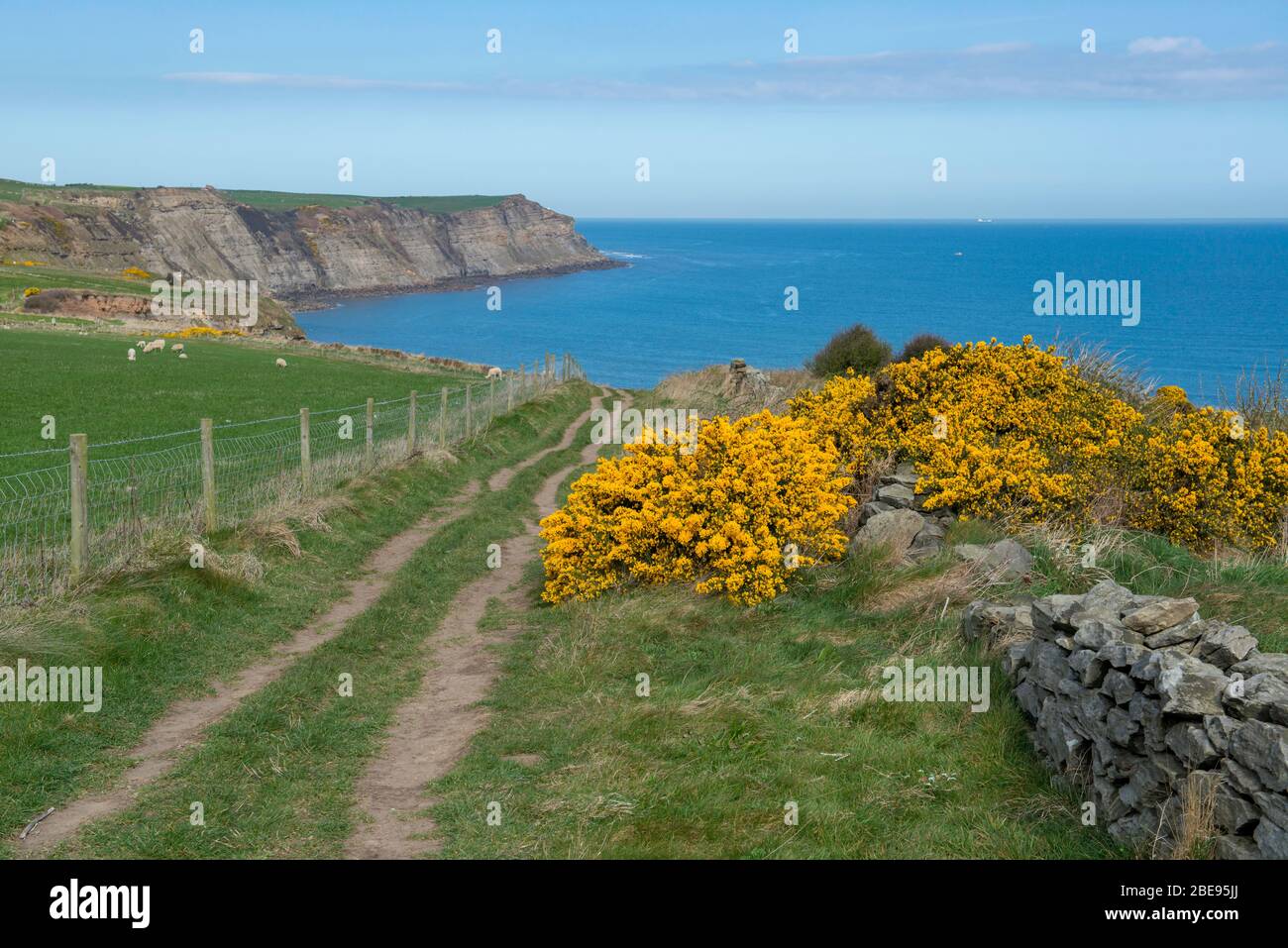 Cleveland cliffs hi-res stock photography and images - Alamy