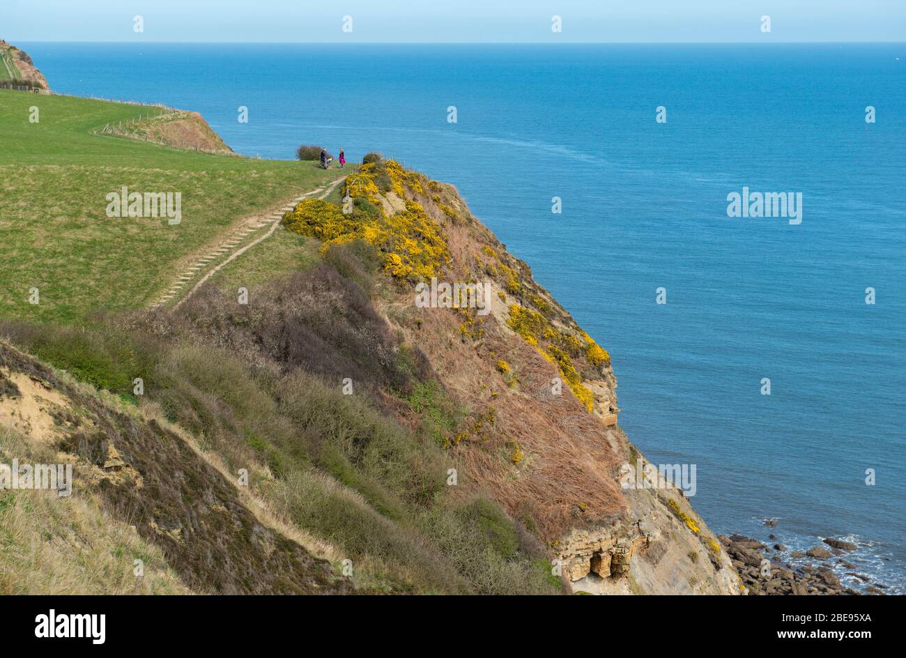 Spring view of sea cliffs along the route of the Cleveland Way long ...