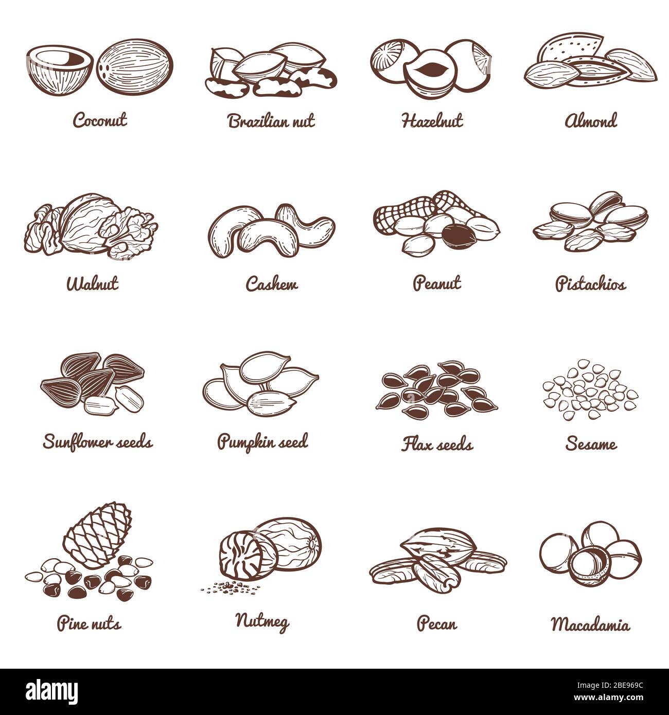 Edible nuts and seeds vector icons. Protein healthy food set of nuts ...