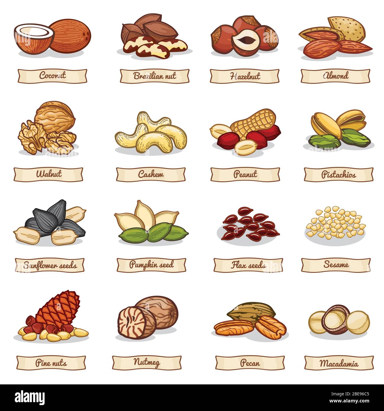 Cartoon color nut and seed grains. Vector collection nuts ingredient ...
