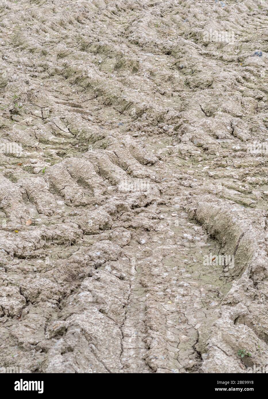 Mud field impressions hi-res stock photography and images - Alamy