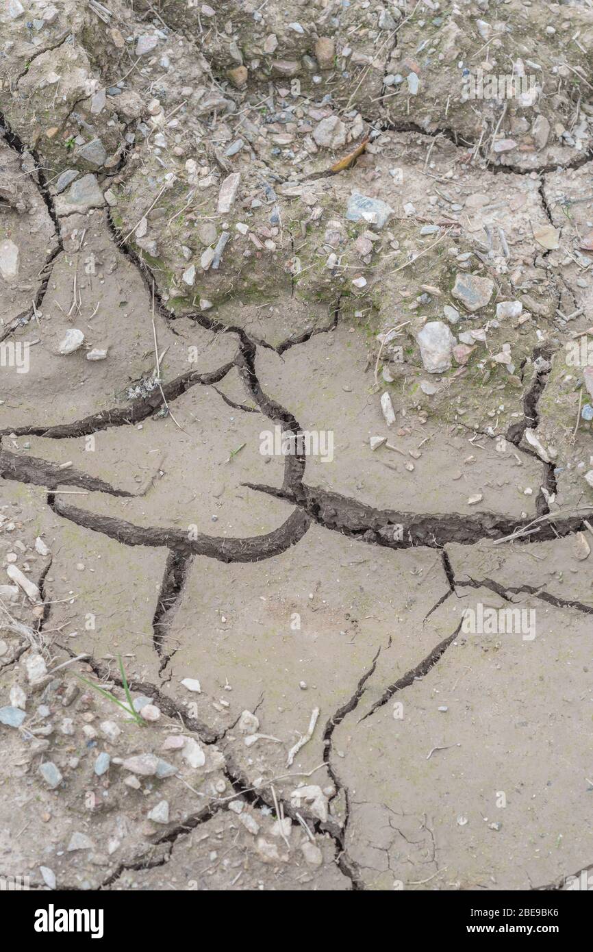 Muddy Soil High Resolution Stock Photography and Images - Alamy