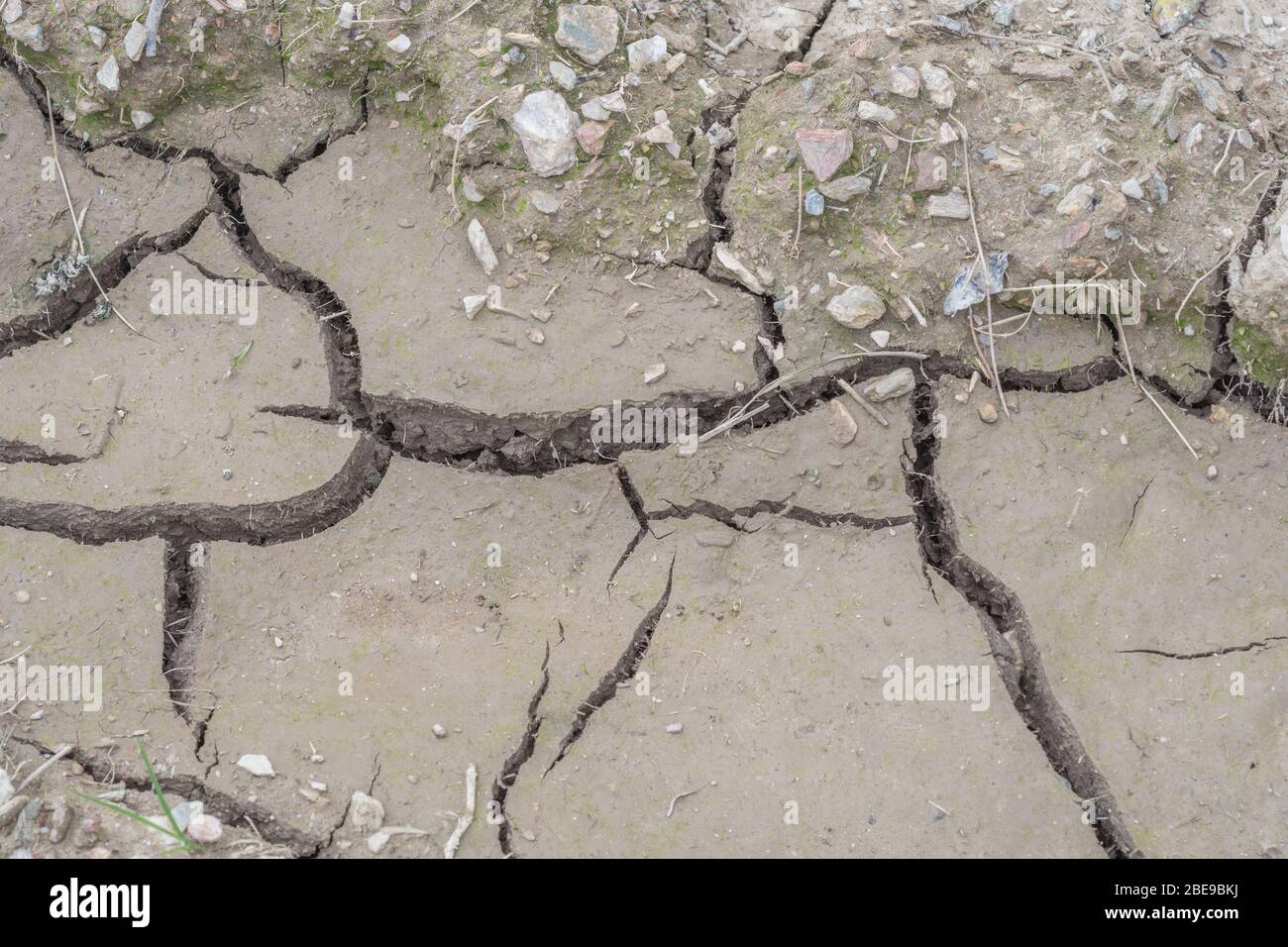 Deep cracks in drying muddy farmland soil. For political cracks, water ...