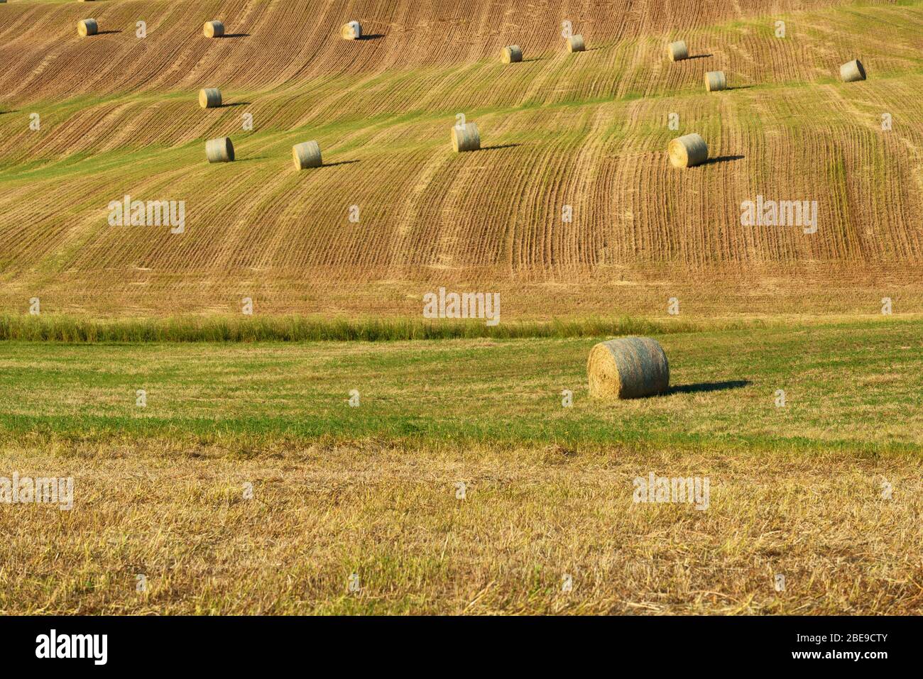 Tuscany hay stack hi-res stock photography and images - Alamy