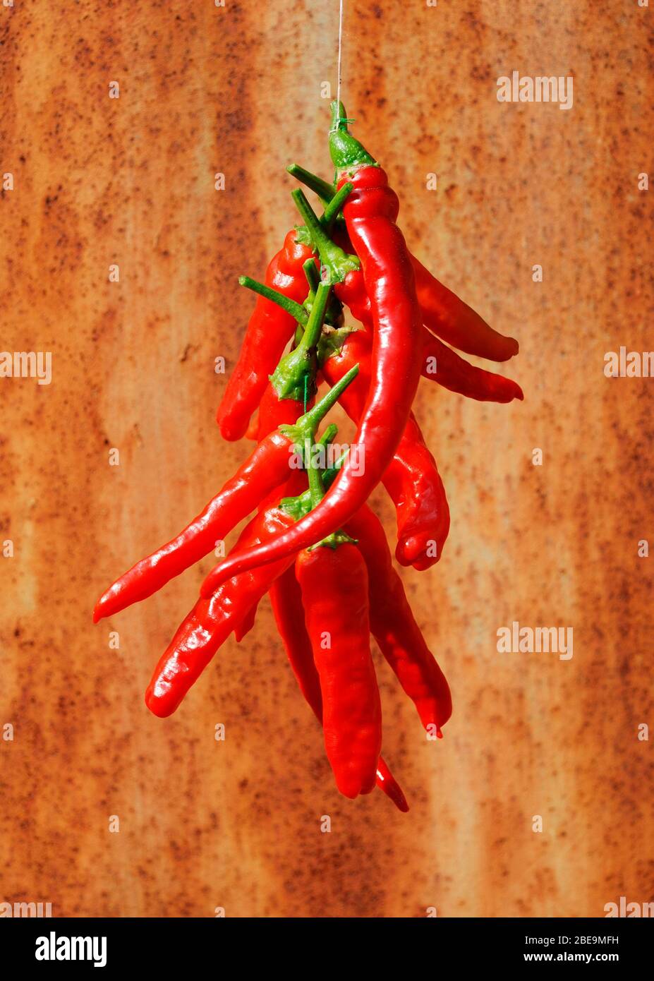 String chillies hi-res stock photography and images - Alamy