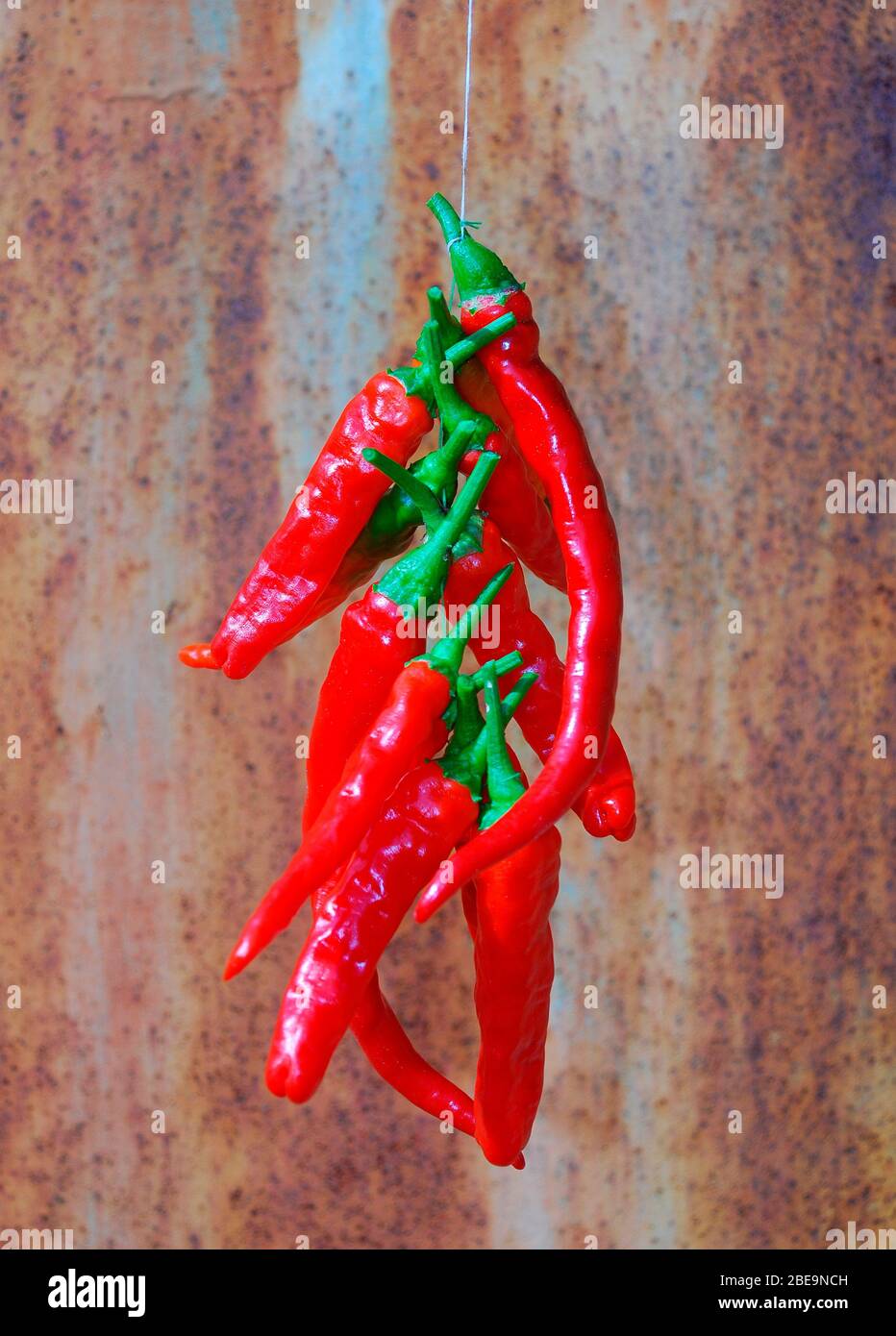 Chilli string hi-res stock photography and images - Alamy