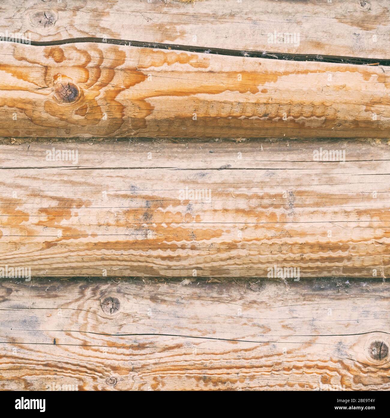 Log wall texture for background and design Stock Photo - Alamy