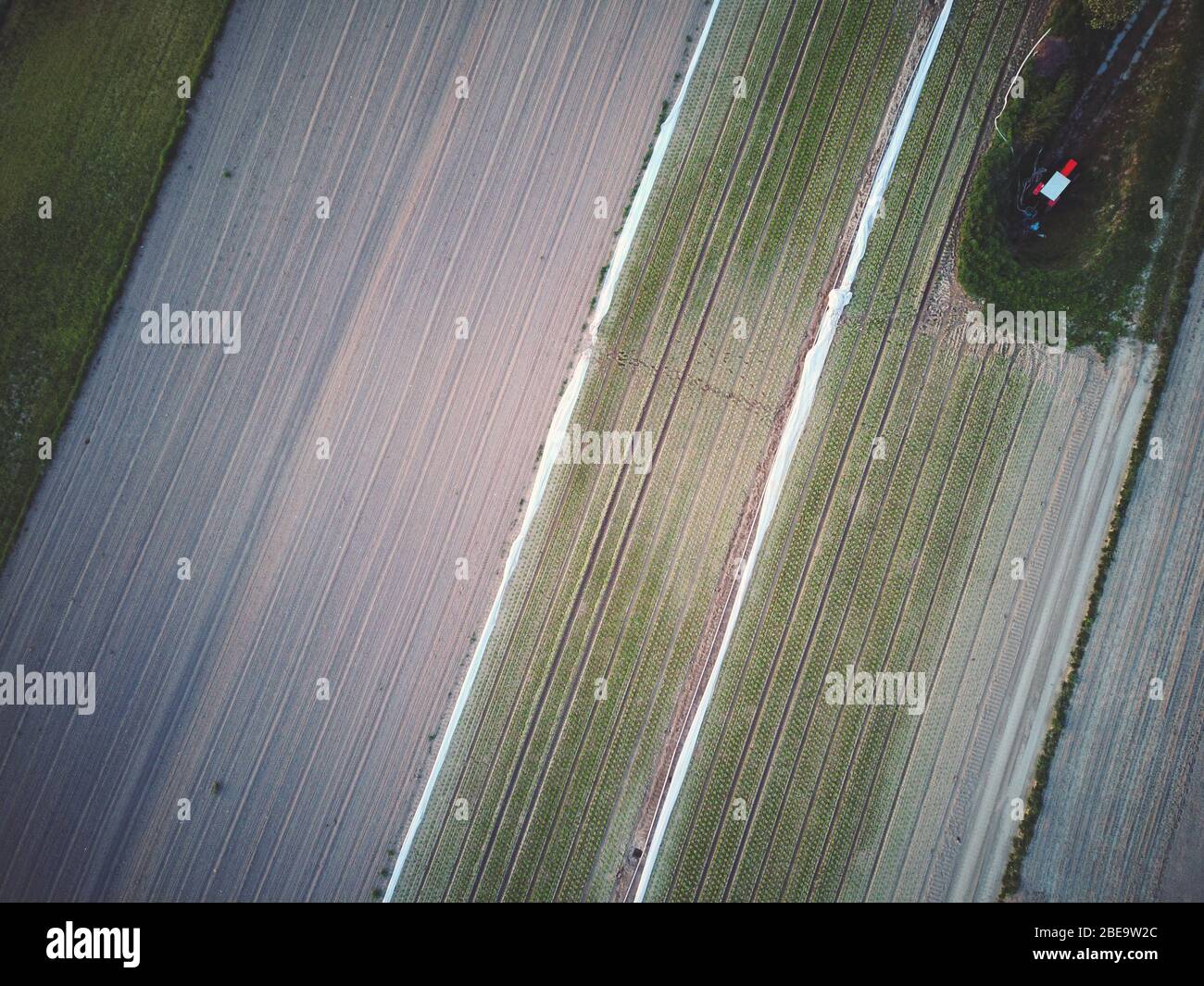 Colorful crop fields on vegetable farm on the outskirts of the city ...