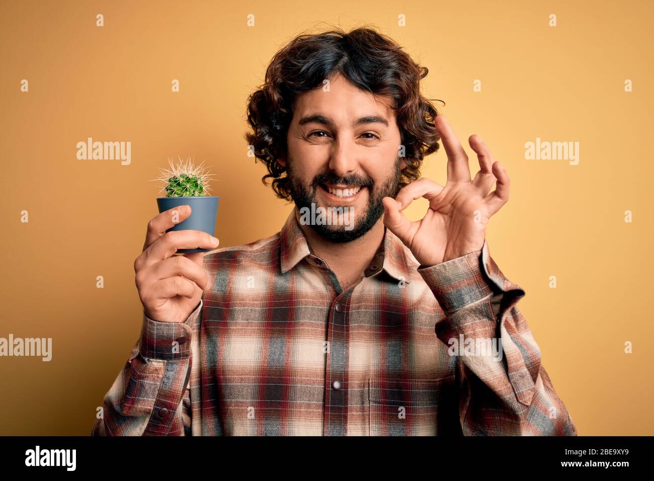 Young man with curly hair and beard holding small cactus plant pot over ...