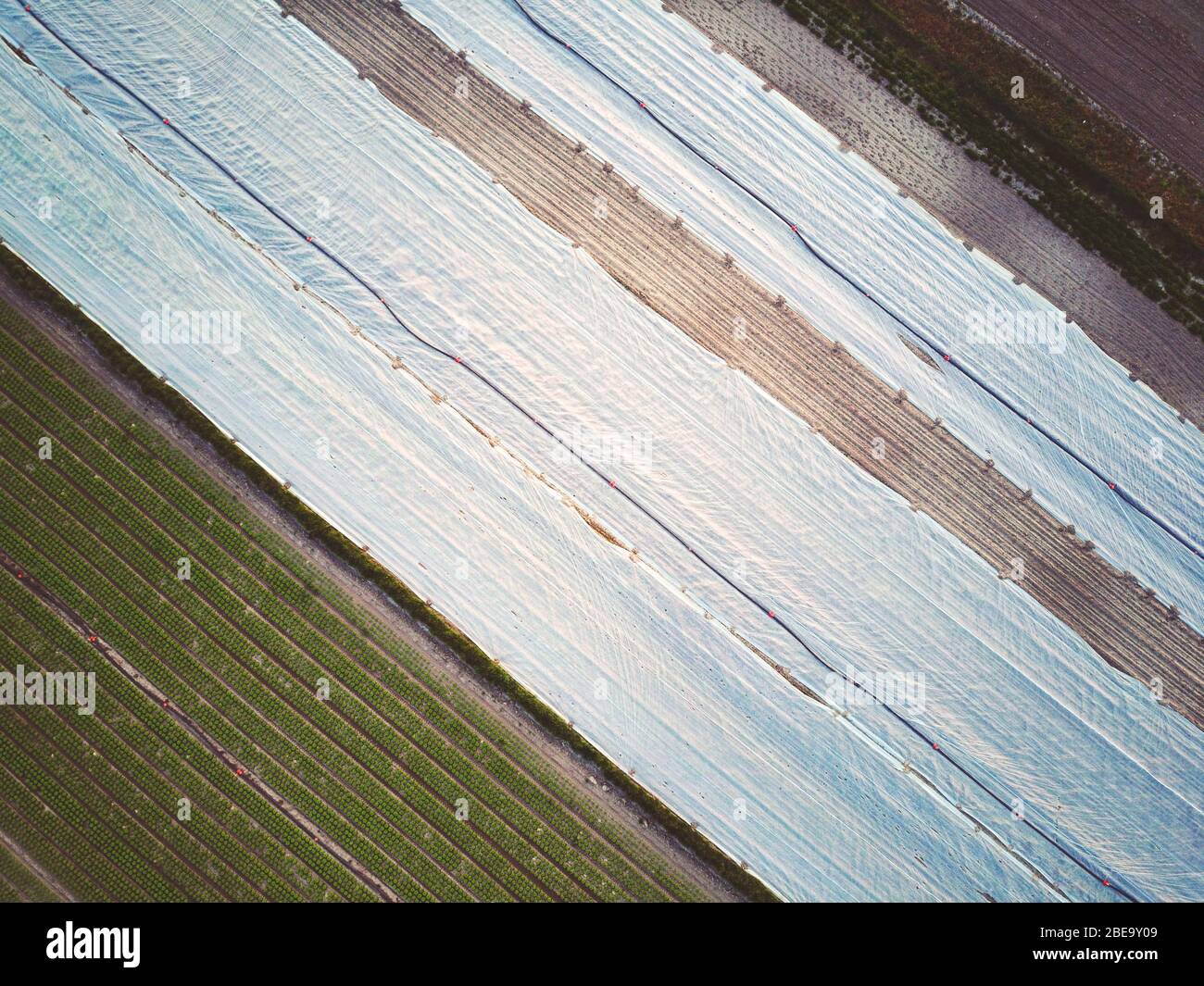 Colorful crop fields on vegetable farm on the outskirts of the city ...