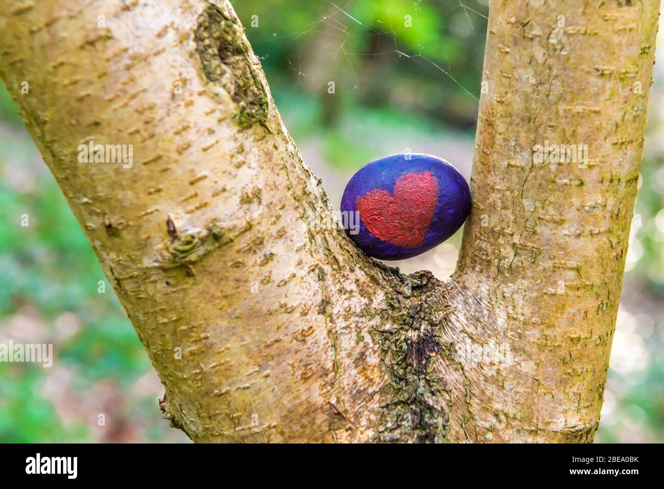 Croydon, United Kingdom - April 12, 2020: Purley Beeches park with a ...