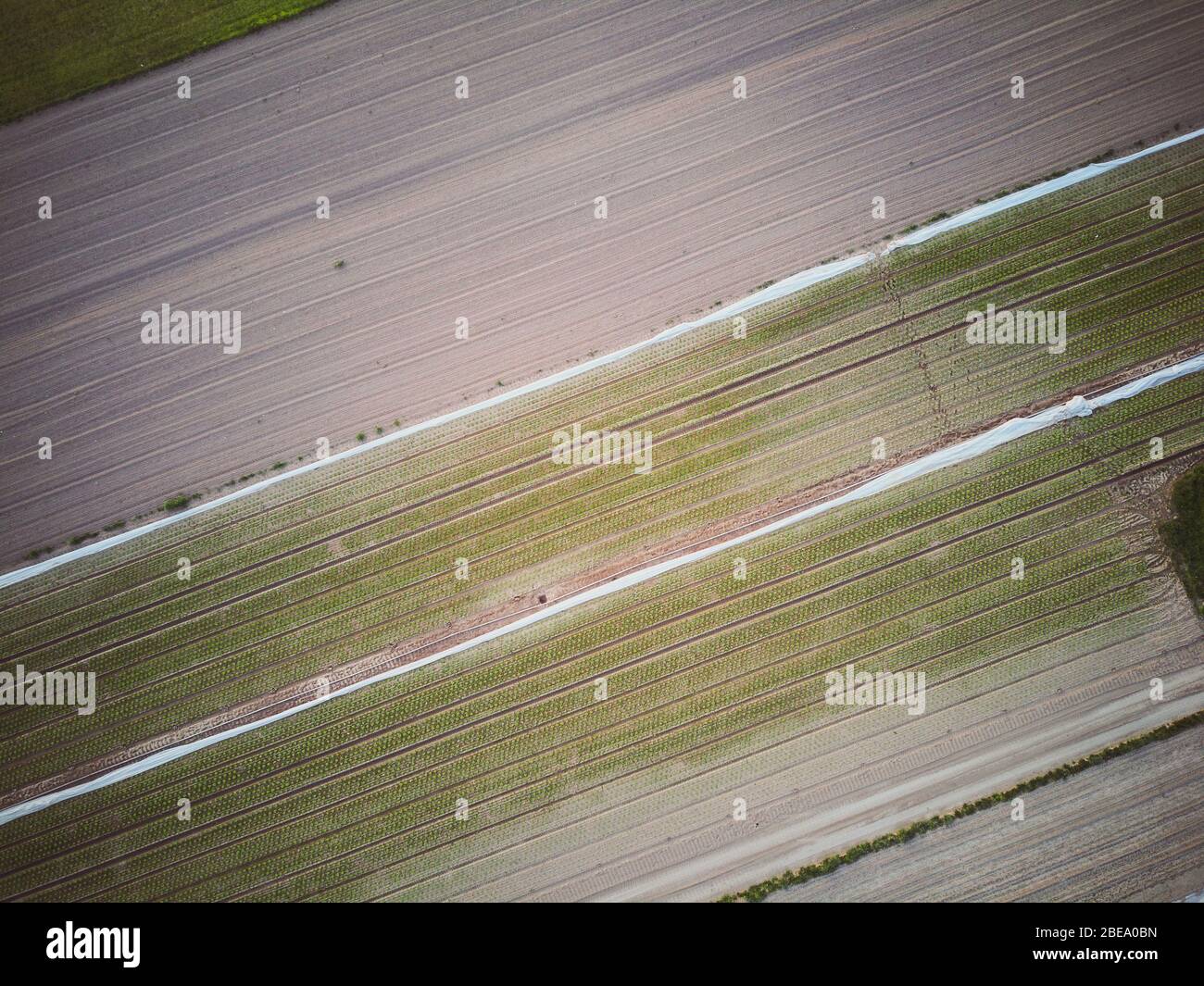 Colorful crop fields on vegetable farm on the outskirts of the city ...
