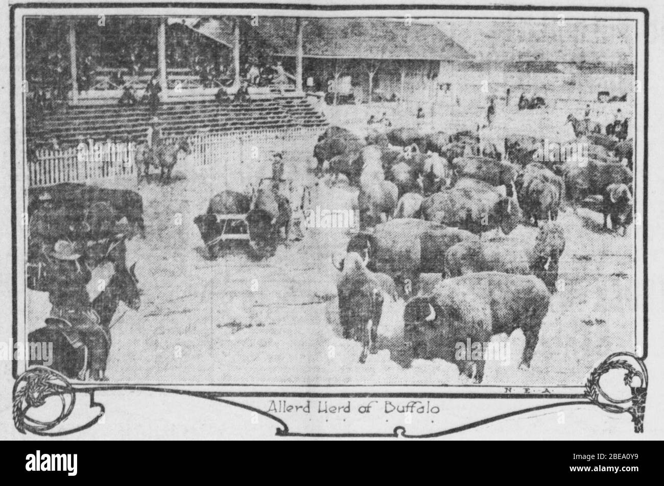 Overhunting hi-res stock photography and images - Alamy