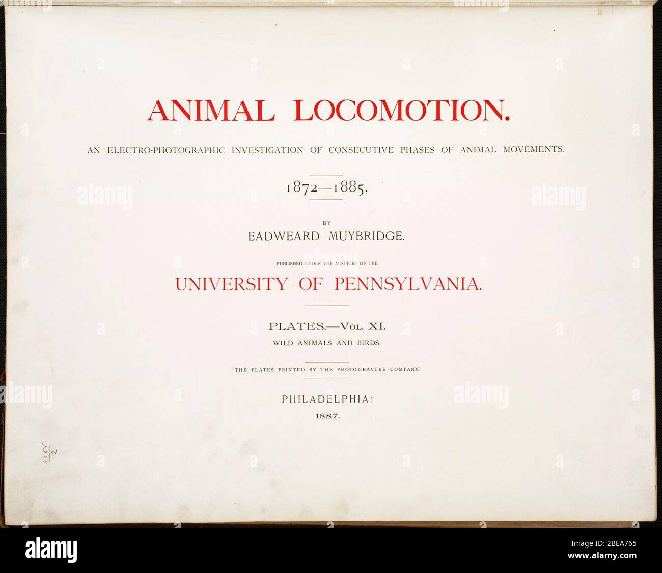 Wild animals title page hi-res stock photography and images - Alamy