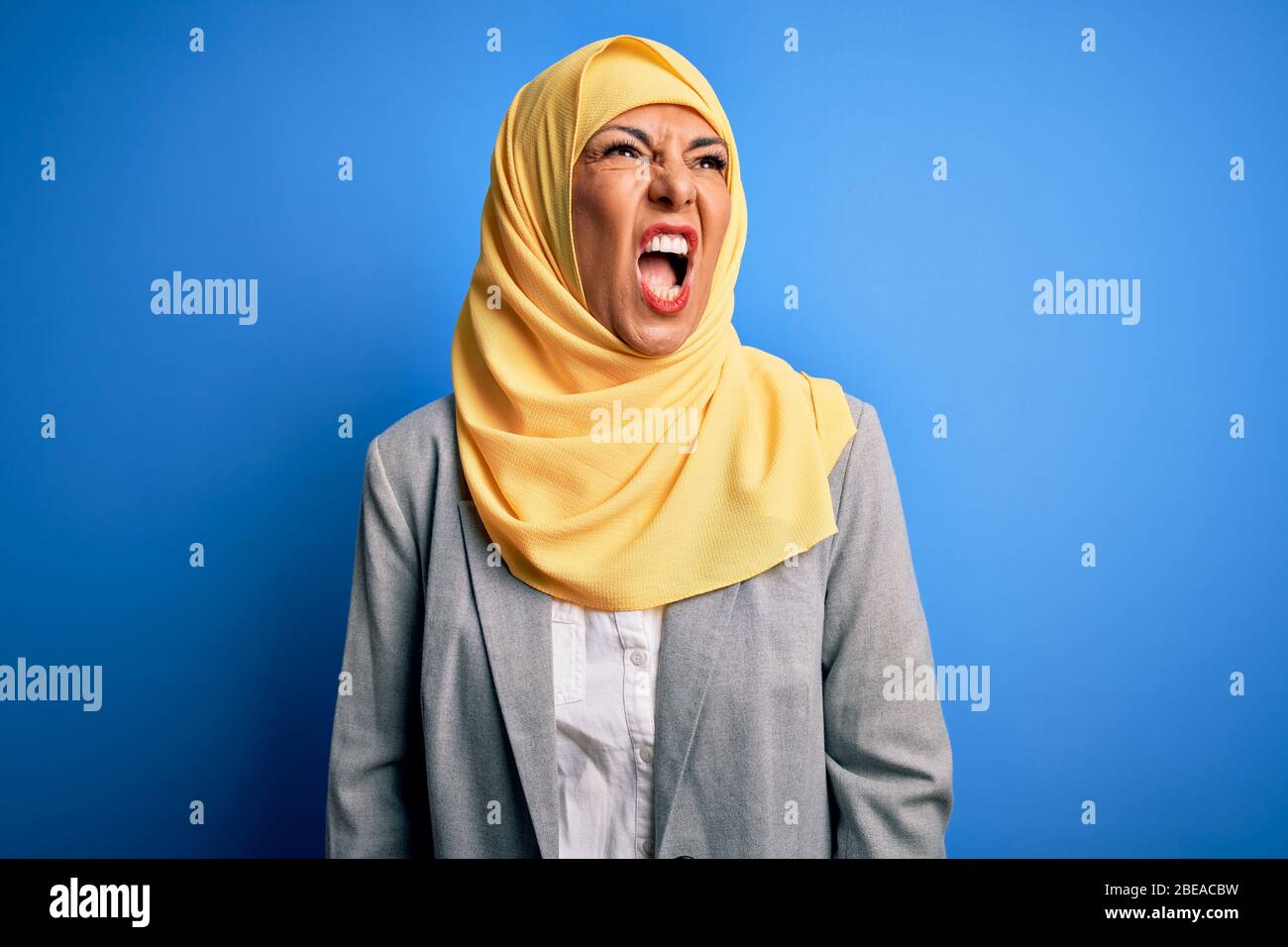 Middle age brunette business woman wearing muslim traditional hijab ...