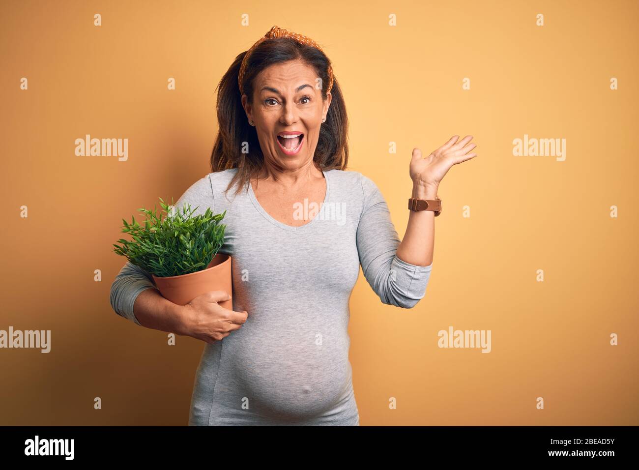 Middle age pregnant woman expecting baby holding plant pot very happy ...