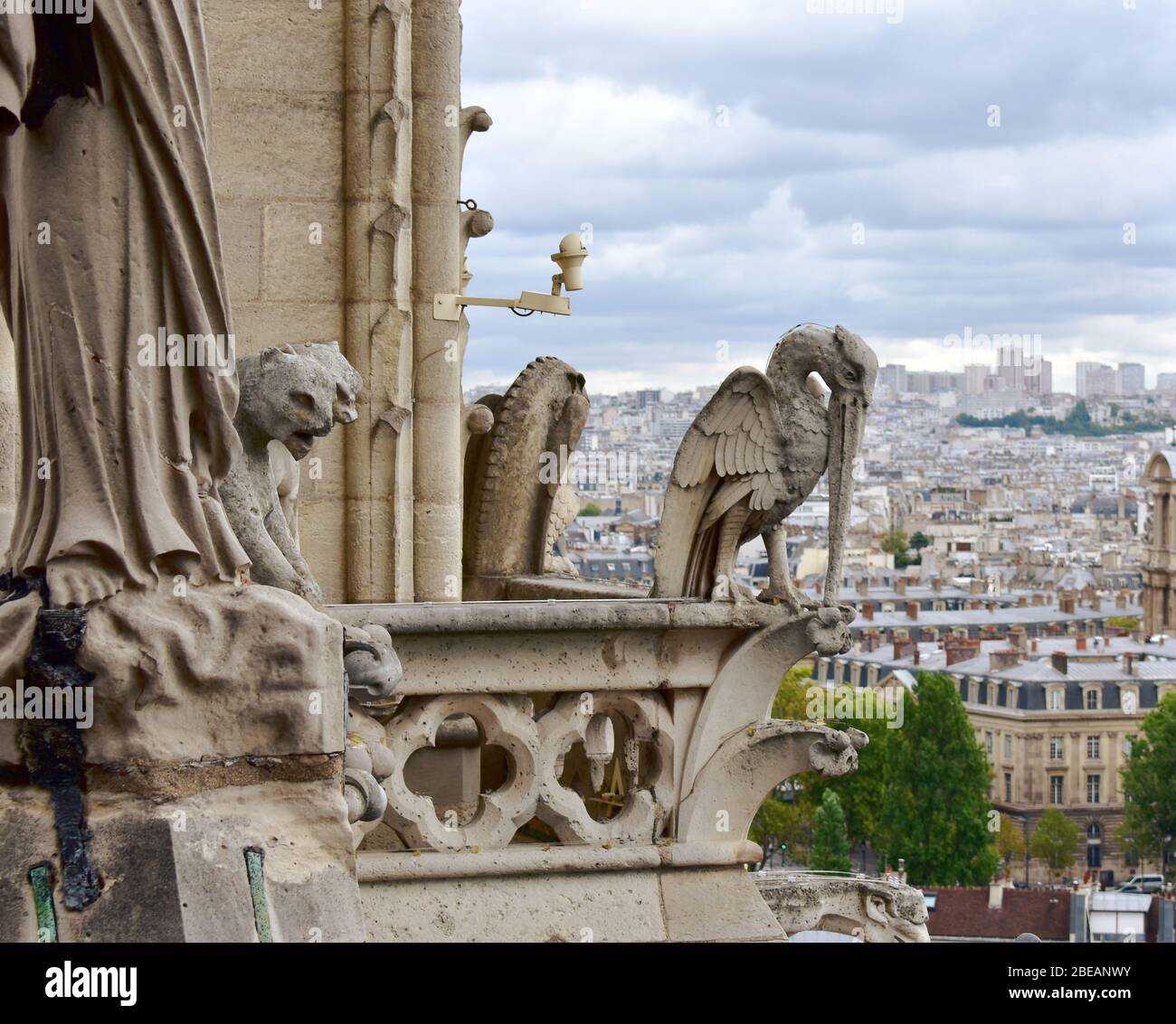 Gargoyles or Chimeras at the Gallery of Chimere. Notre-Dame Cathedral ...