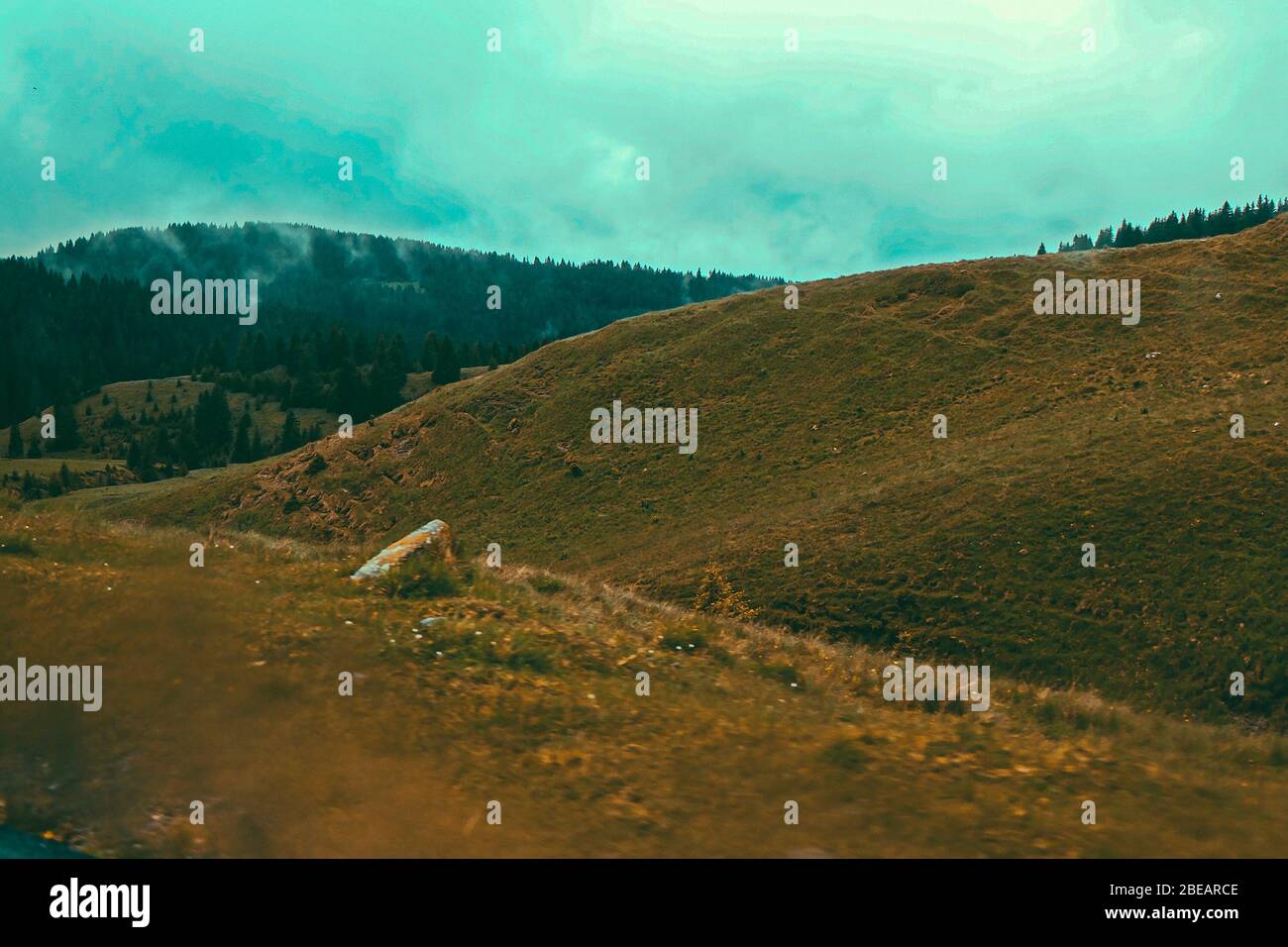 Panorama Mountain pile trees in line Foggy Carpathian Mountains peaks ...
