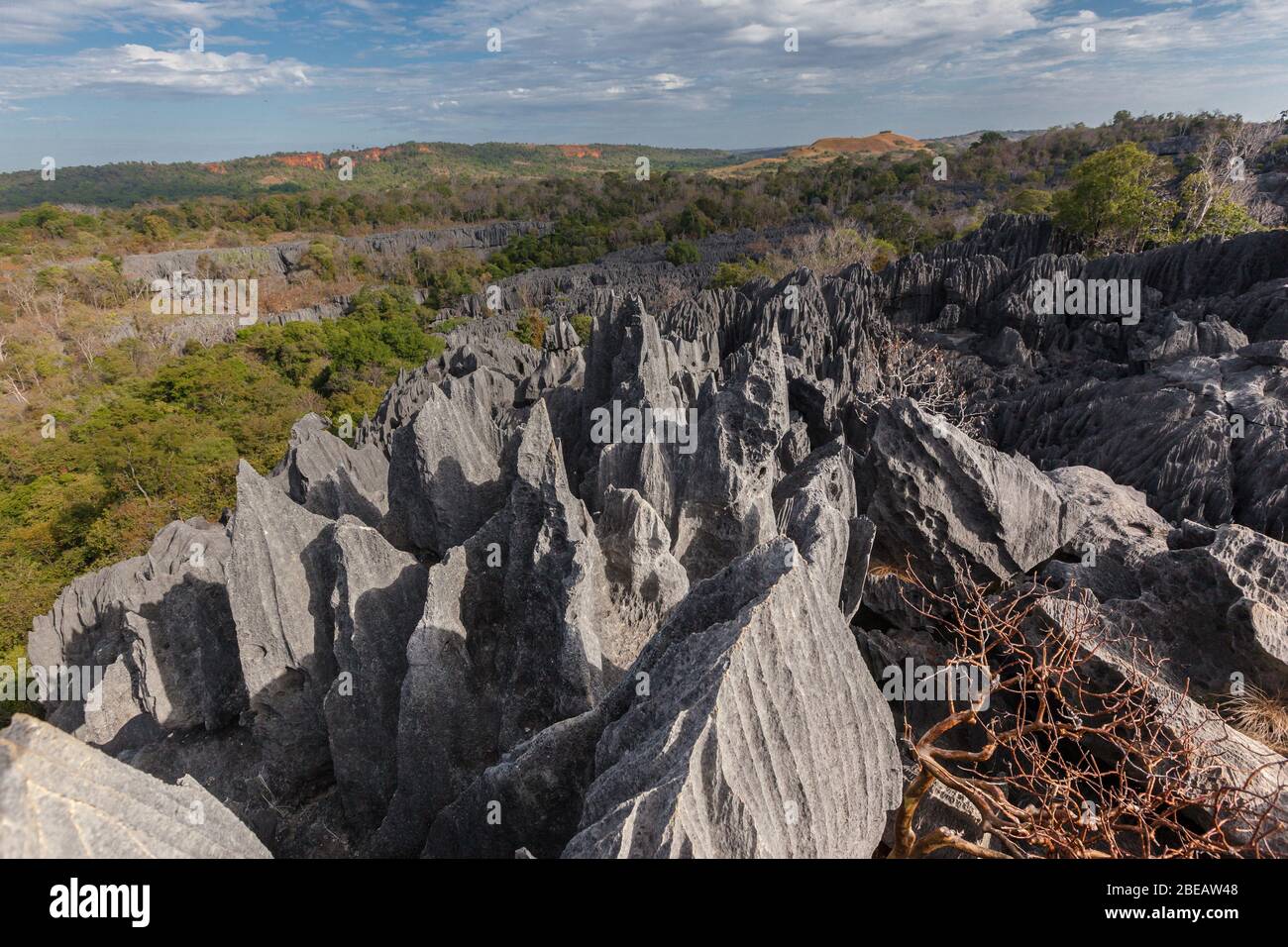 Stone forest panorama sharp limestone rocks of tsingy de bemaraha ...