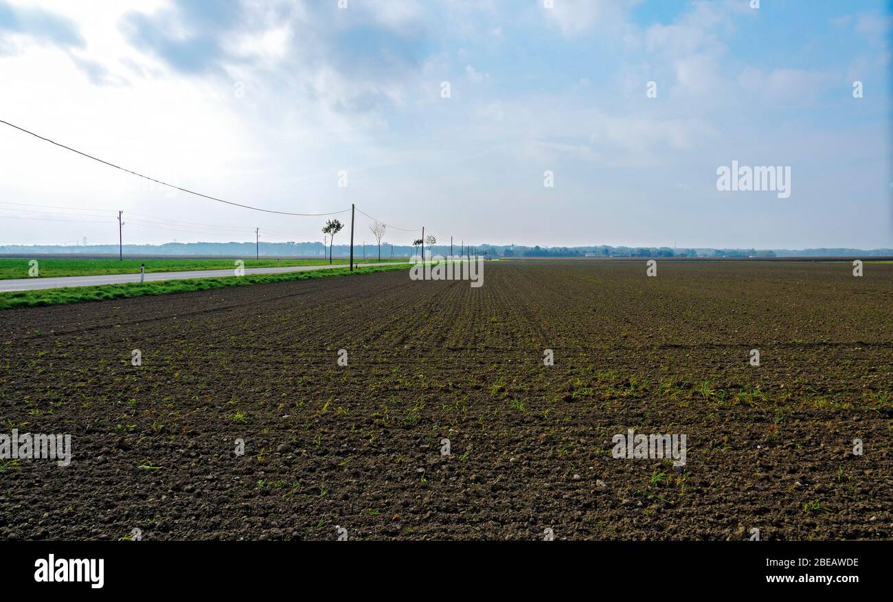 Sowing seed hi-res stock photography and images - Alamy