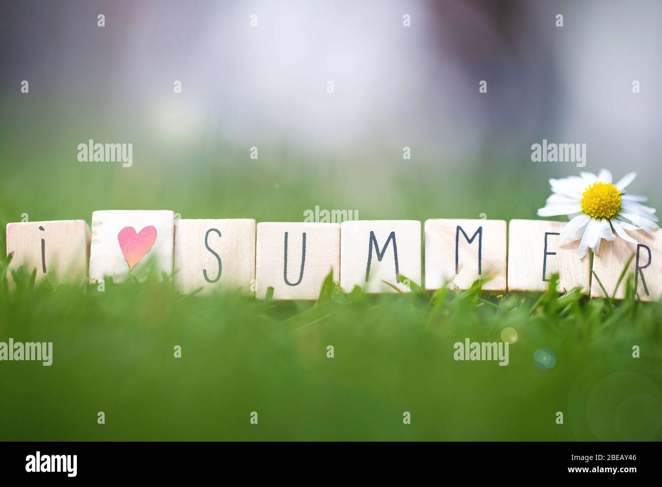 wooden cubes with the words I Love summer in the bright spring green ...