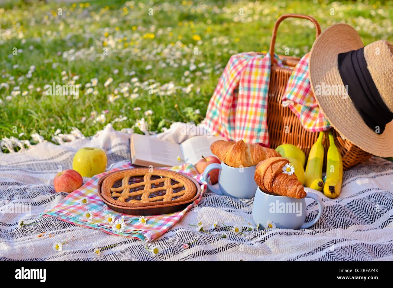 Picnic Background