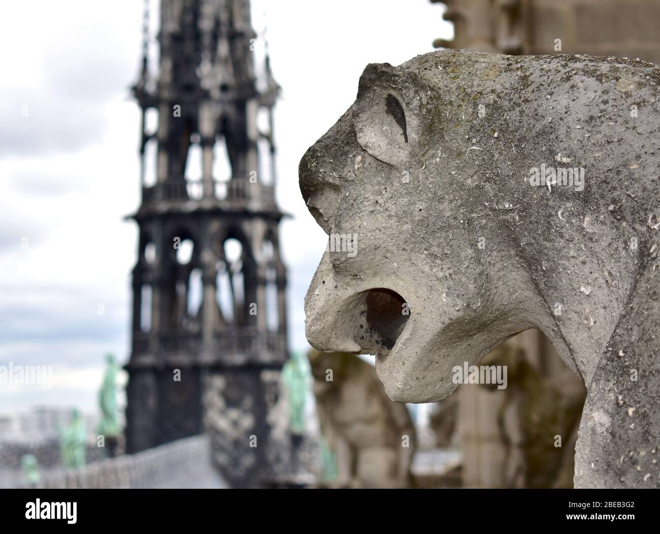 Gargoyles or Chimeras at the Gallery of Chimere. Notre-Dame Cathedral ...