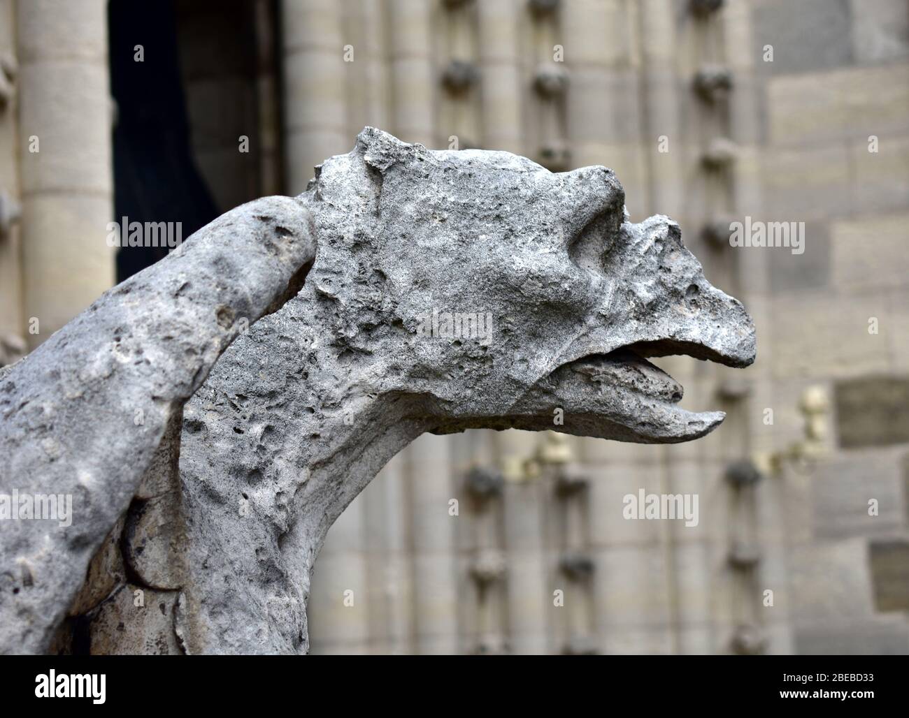 Gargoyles or Chimeras at the Gallery of Chimere. Notre-Dame Cathedral ...