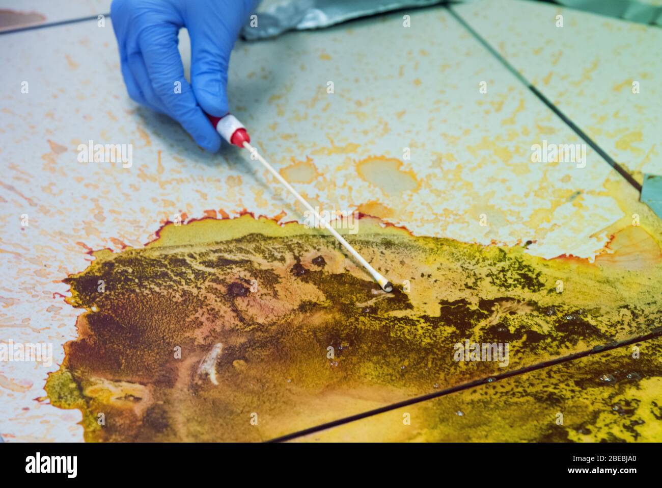 Forensic technicians taking DNA sample from blood stain with cotton ...