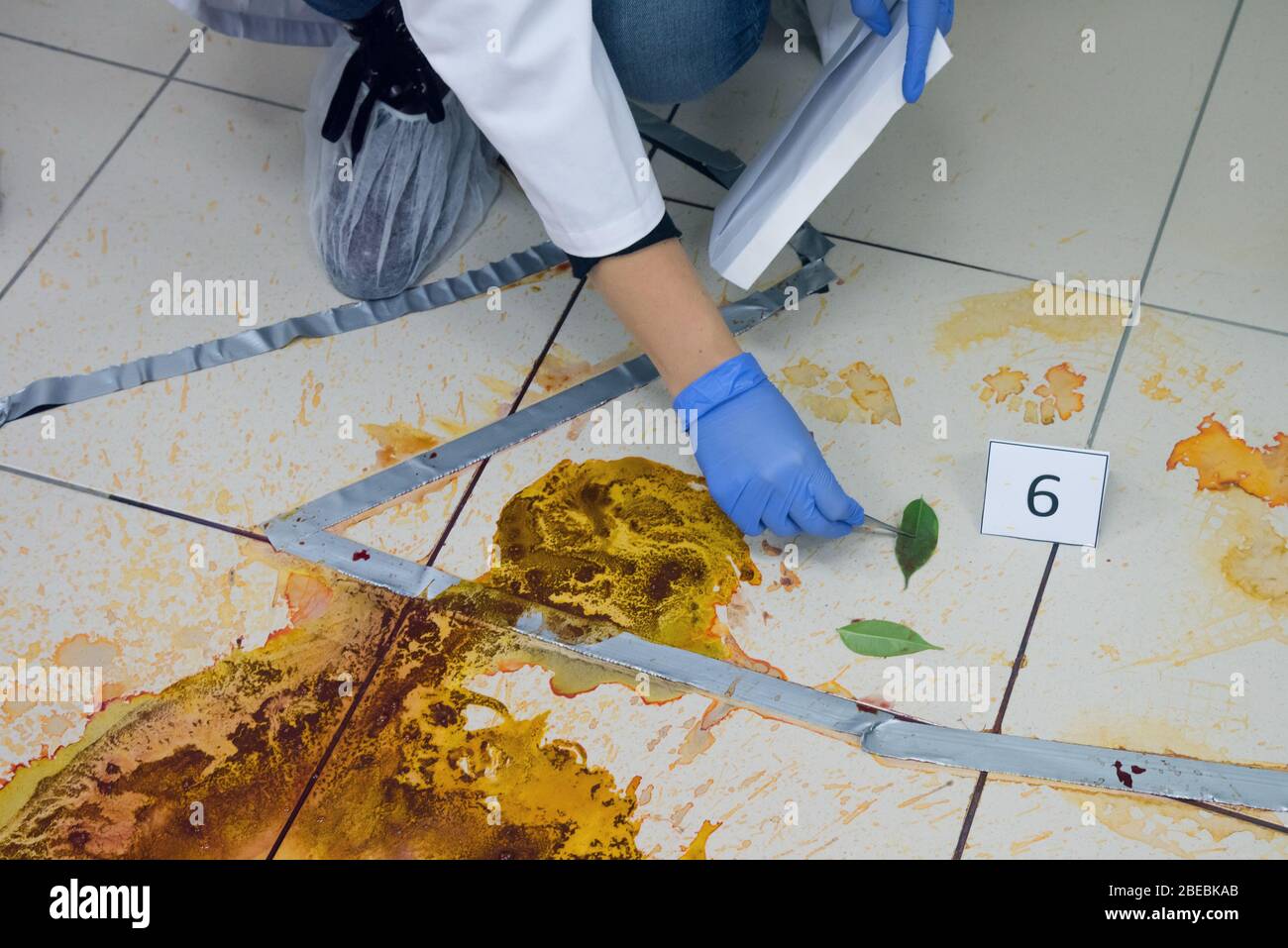 Forensic technicians taking DNA sample from blood stain with cotton ...