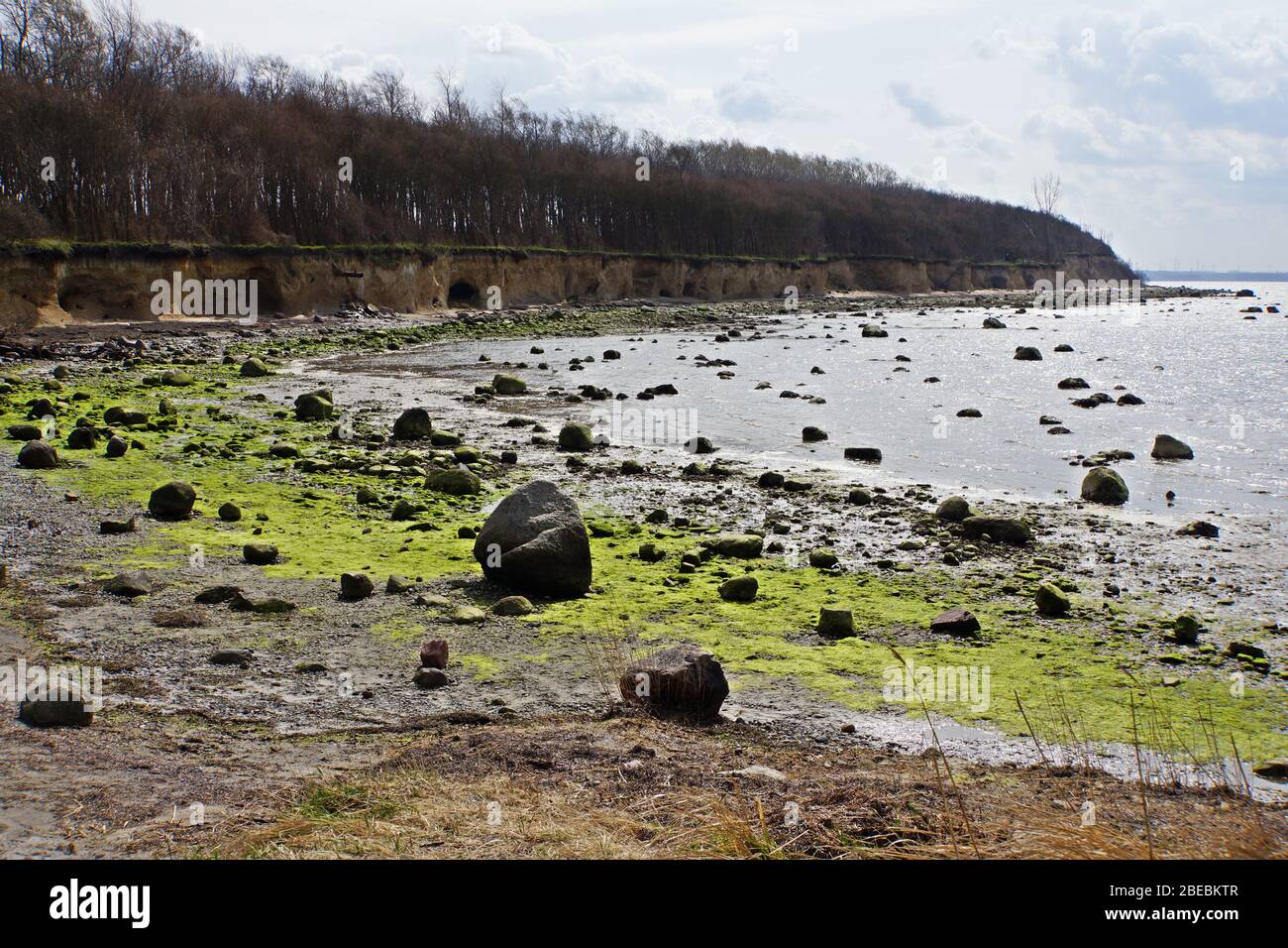 Steilküste in Timmendorf Strand, Insel Poel, Mecklenburg-Vorpommern ...