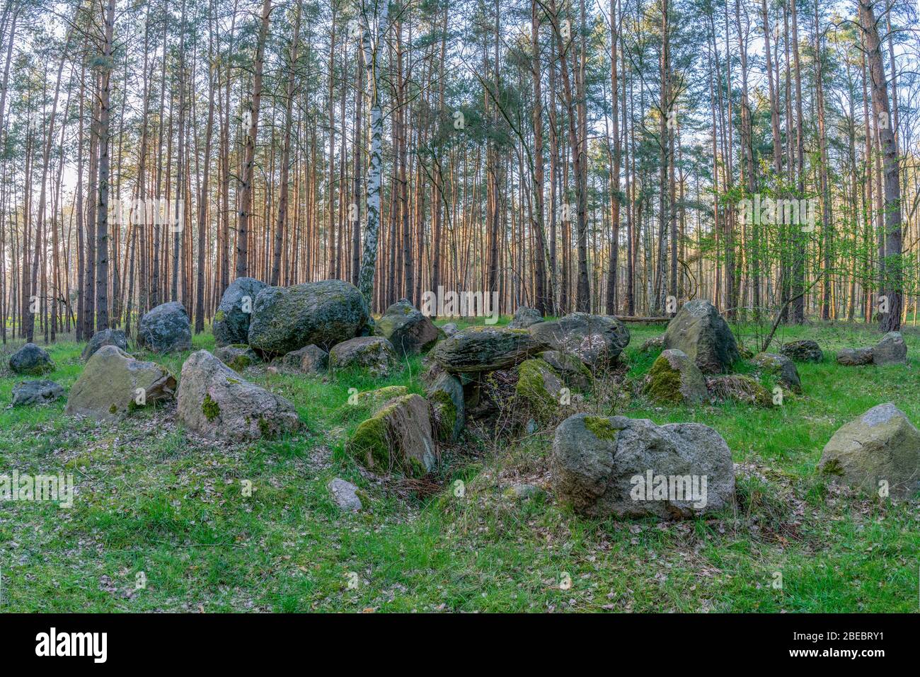 The prehistoric megalith tomb "Kaisergrab" near Haldensleben in Germany ...