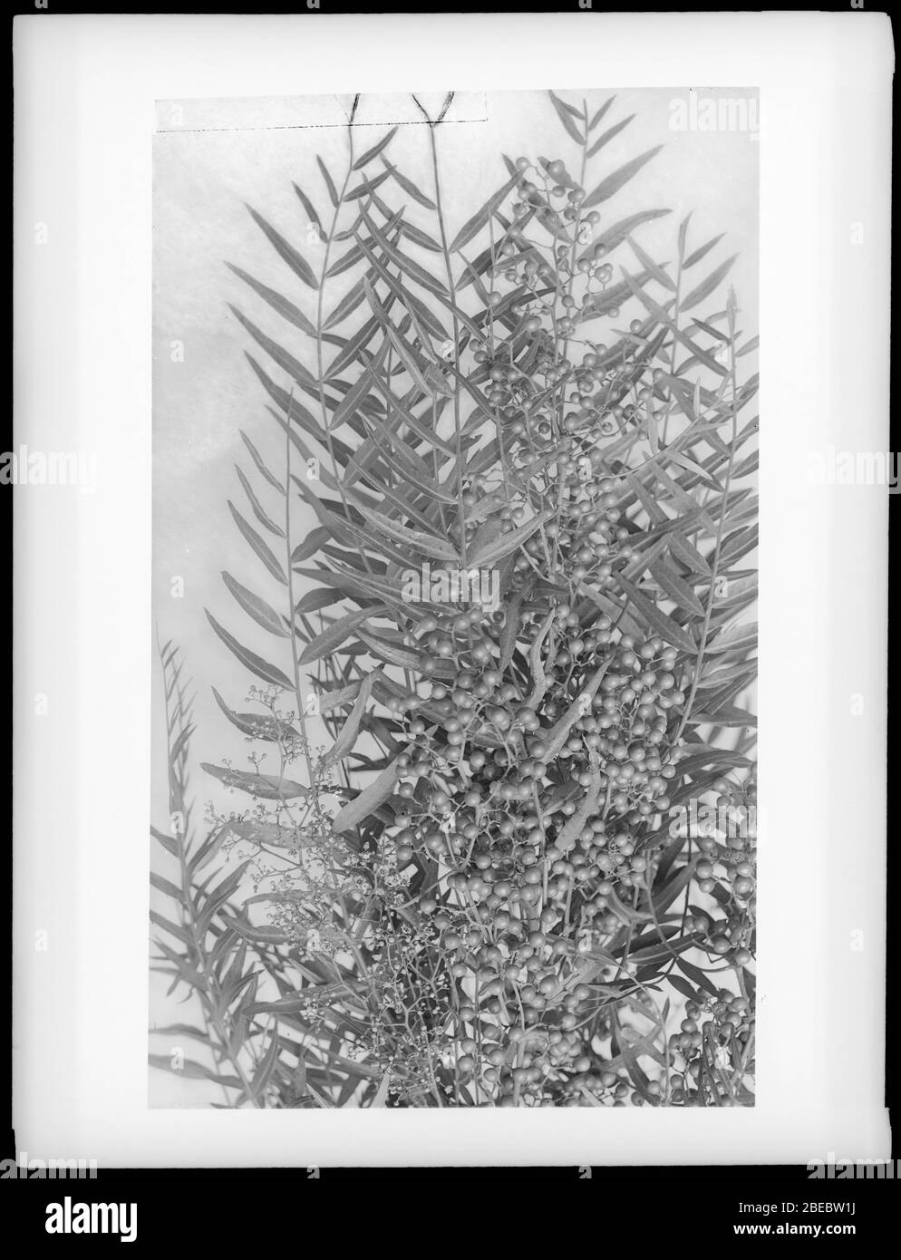 Microfiche image hi-res stock photography and images - Alamy