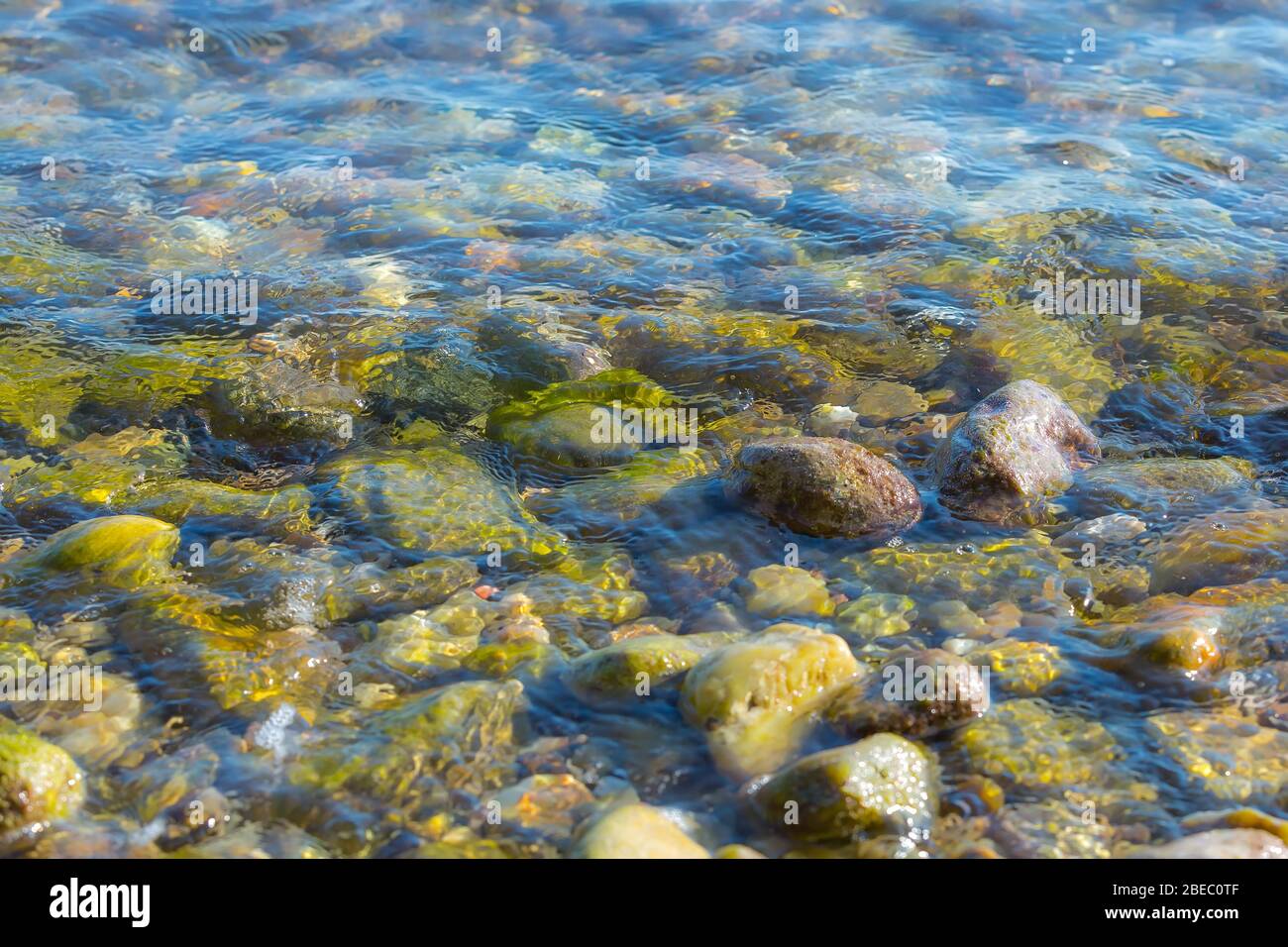 Sea stones under sea water, summer background Stock Photo - Alamy