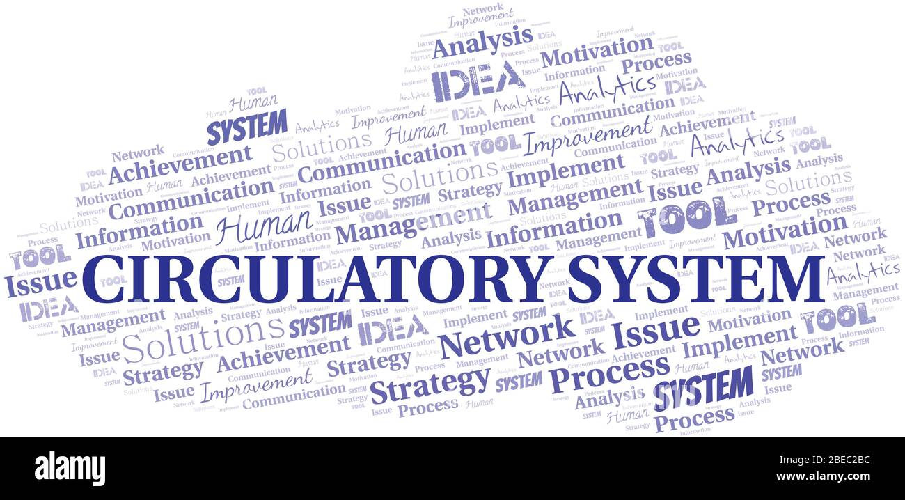 Circulatory System typography vector word cloud. Wordcloud collage made ...