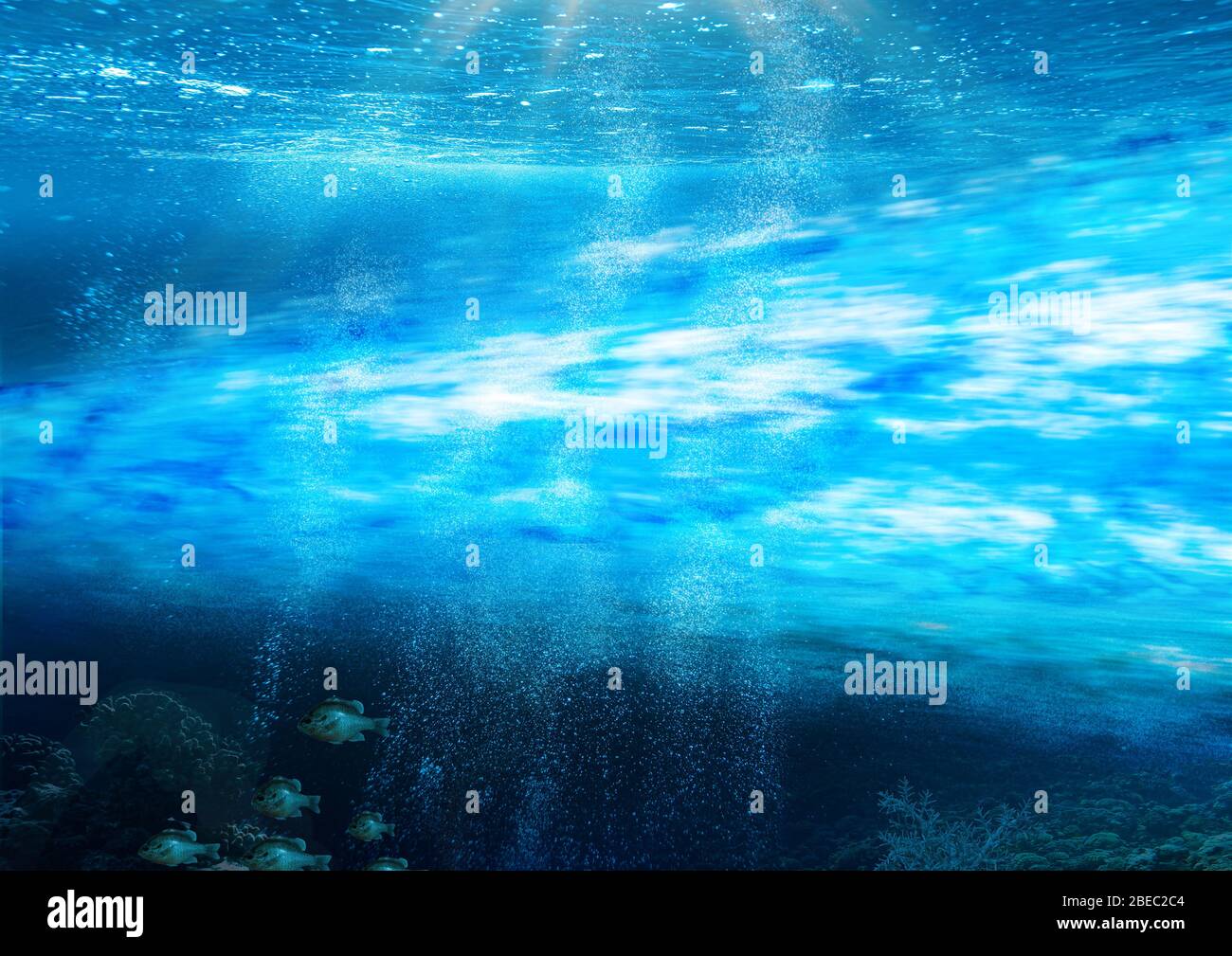 Ocean Underwater Currents Amazing Surfing Sharks Image Shows How