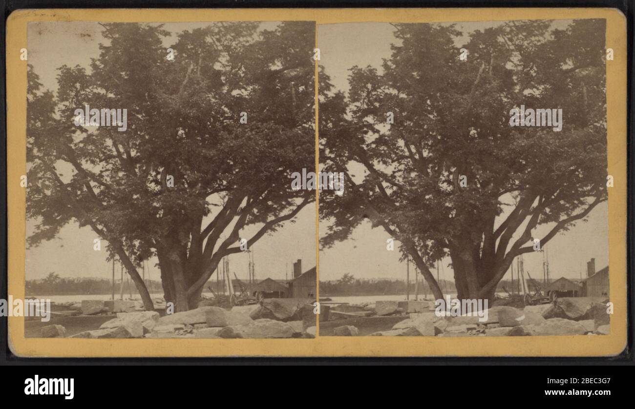 Portland quarries hi-res stock photography and images - Alamy