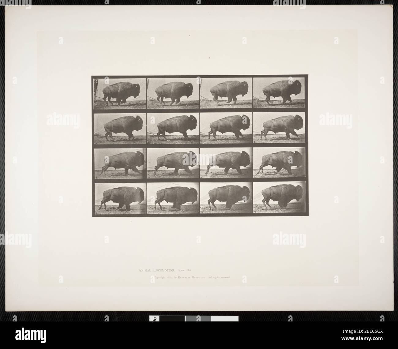 Philadelphia 1885 hi-res stock photography and images - Alamy