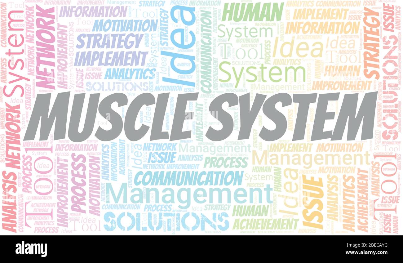 Muscle System typography vector word cloud. Wordcloud collage made with ...