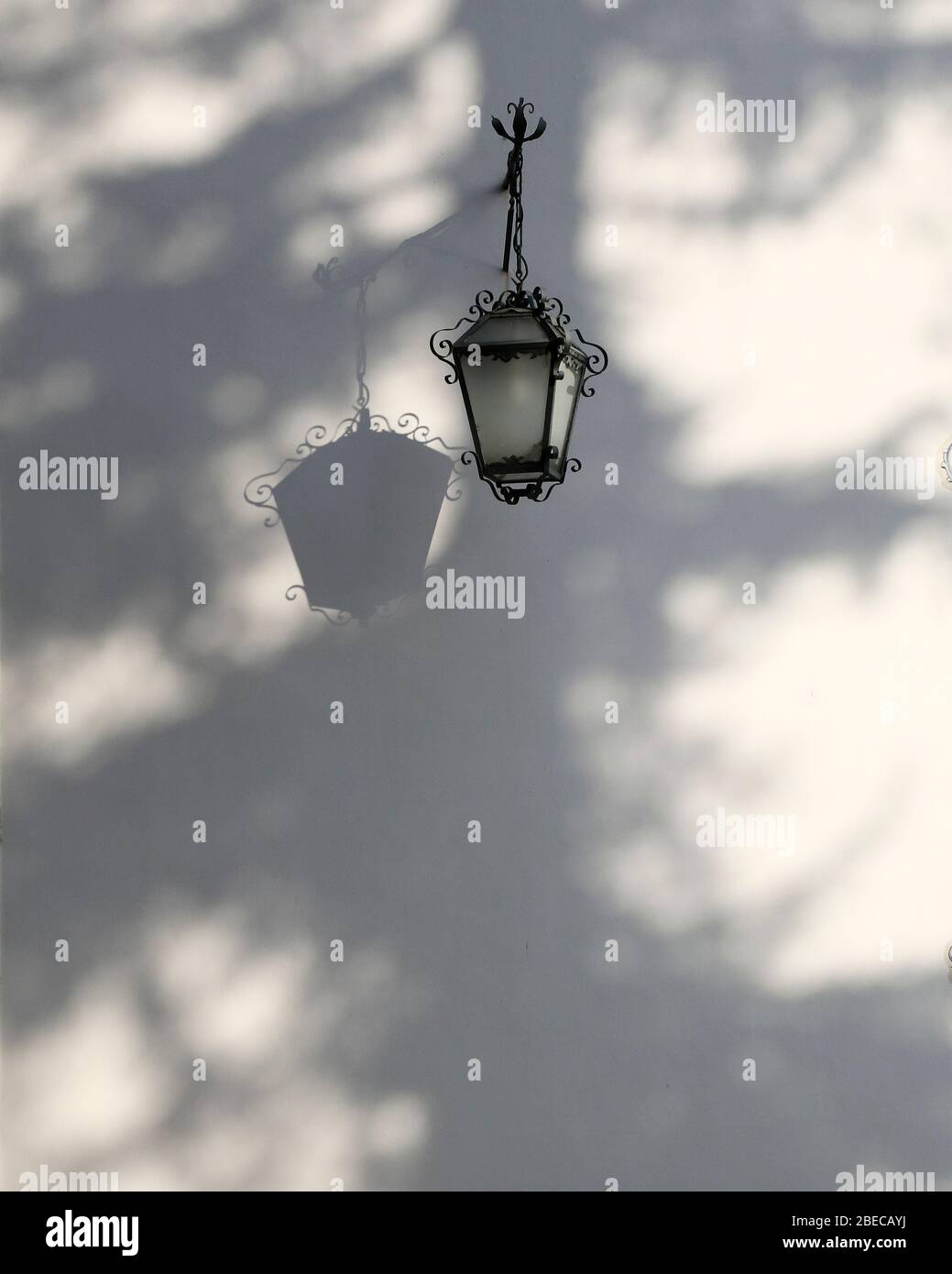 A beautiful white wall cast in shadows from a tree with a traditional ...