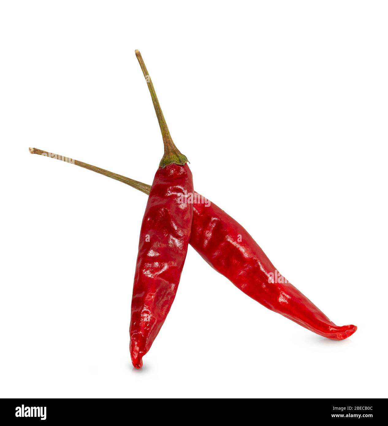 Dried red chili or chilli cayenne pepper isolated on white background ...